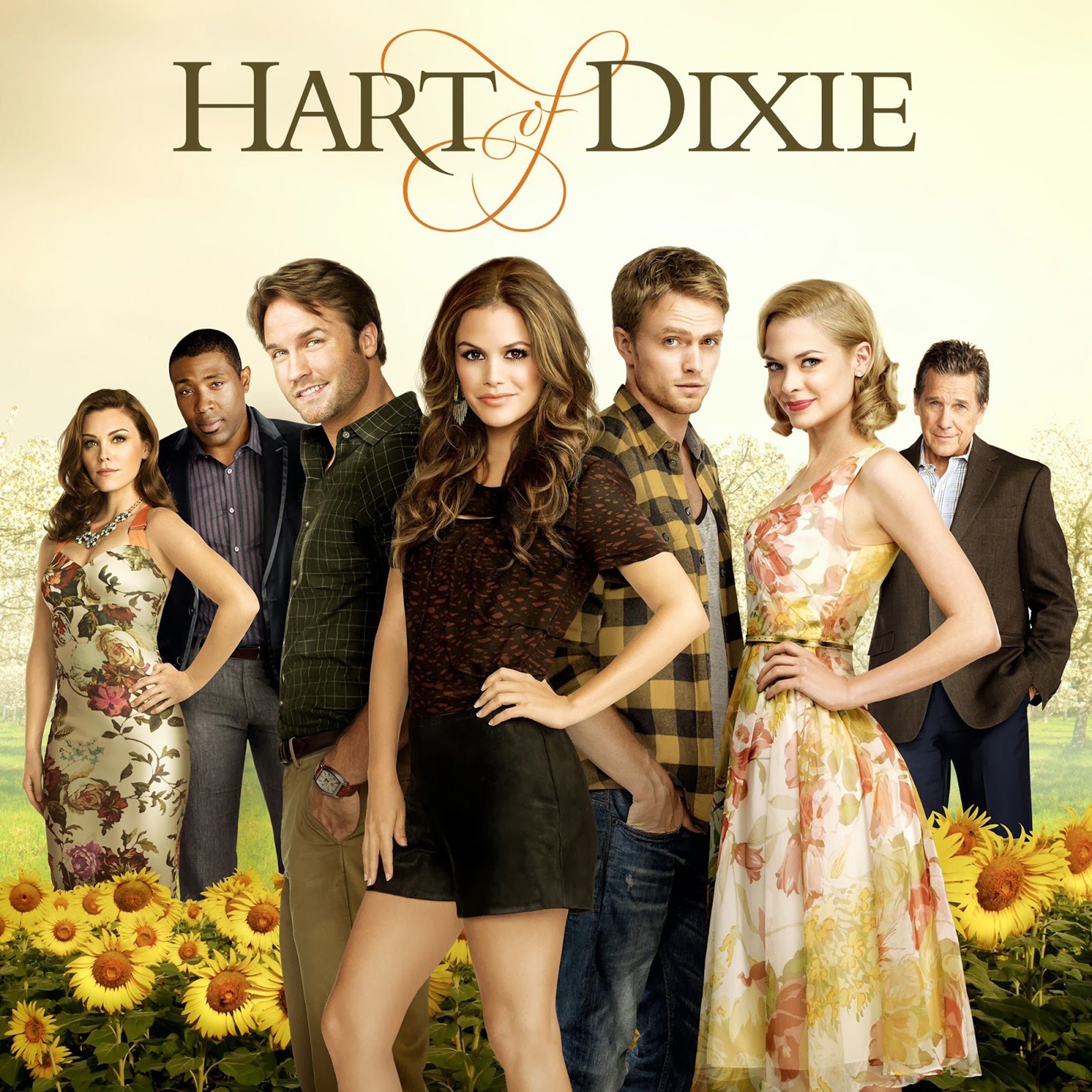 Wes Brown Hart Of Dixie