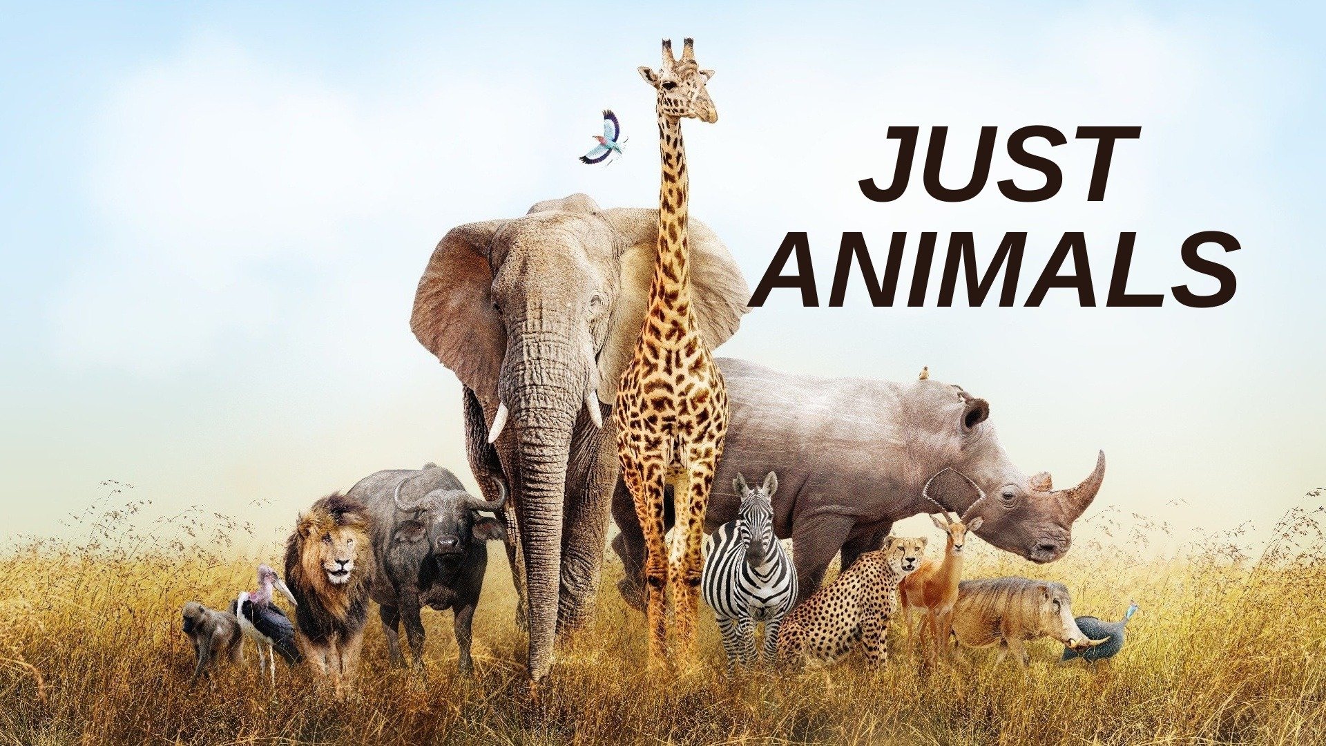 Watch Just Animals (2018) TV Series Online - Plex