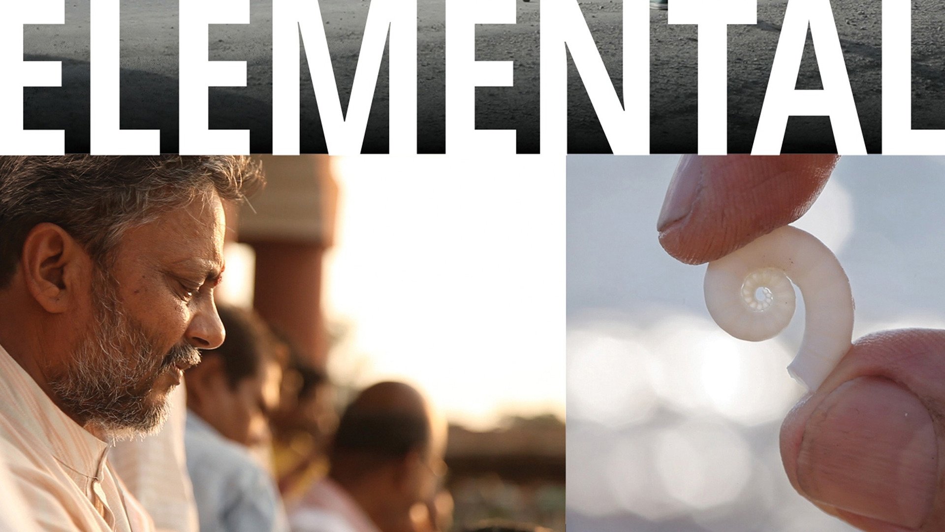 Watch Elemental (2013) Full Movie Online - Plex
