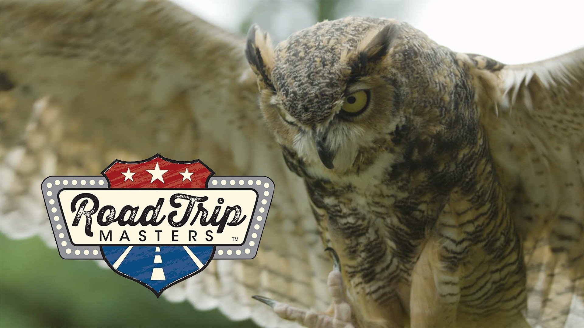 Watch Road Trip Masters (2016) TV Series Free Online - Plex