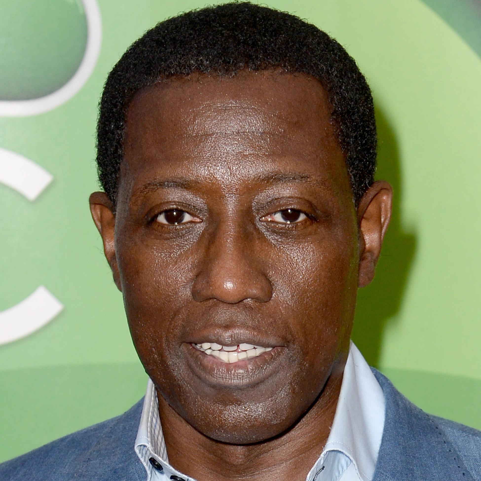 Wesley Snipes Movies and TV Shows - Plex