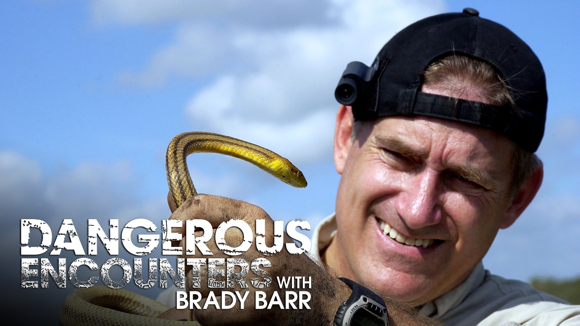 Dangerous Encounters · Season 4 - Plex