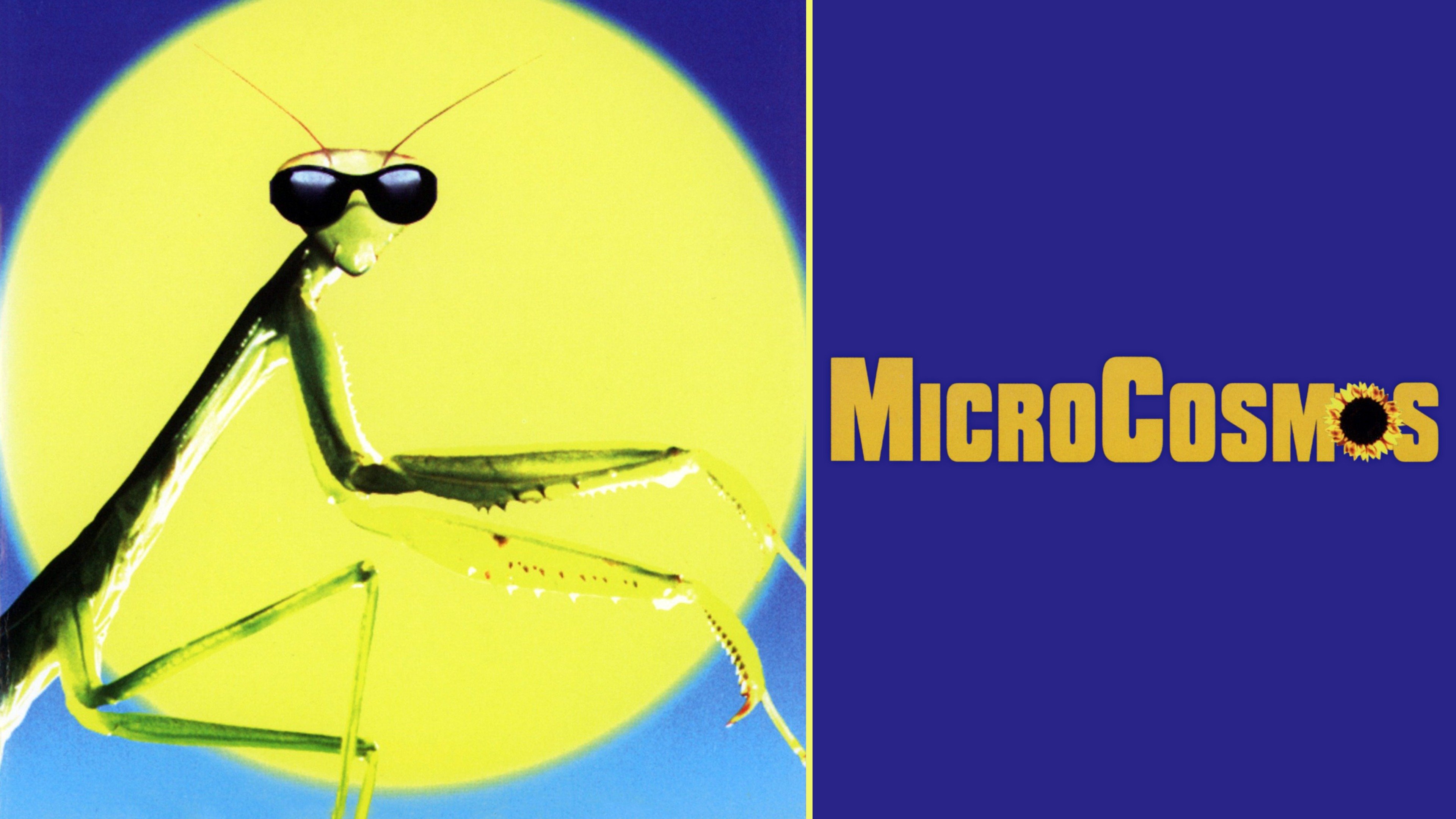 Watch Microcosmos (1996) Full Movie Online - Plex