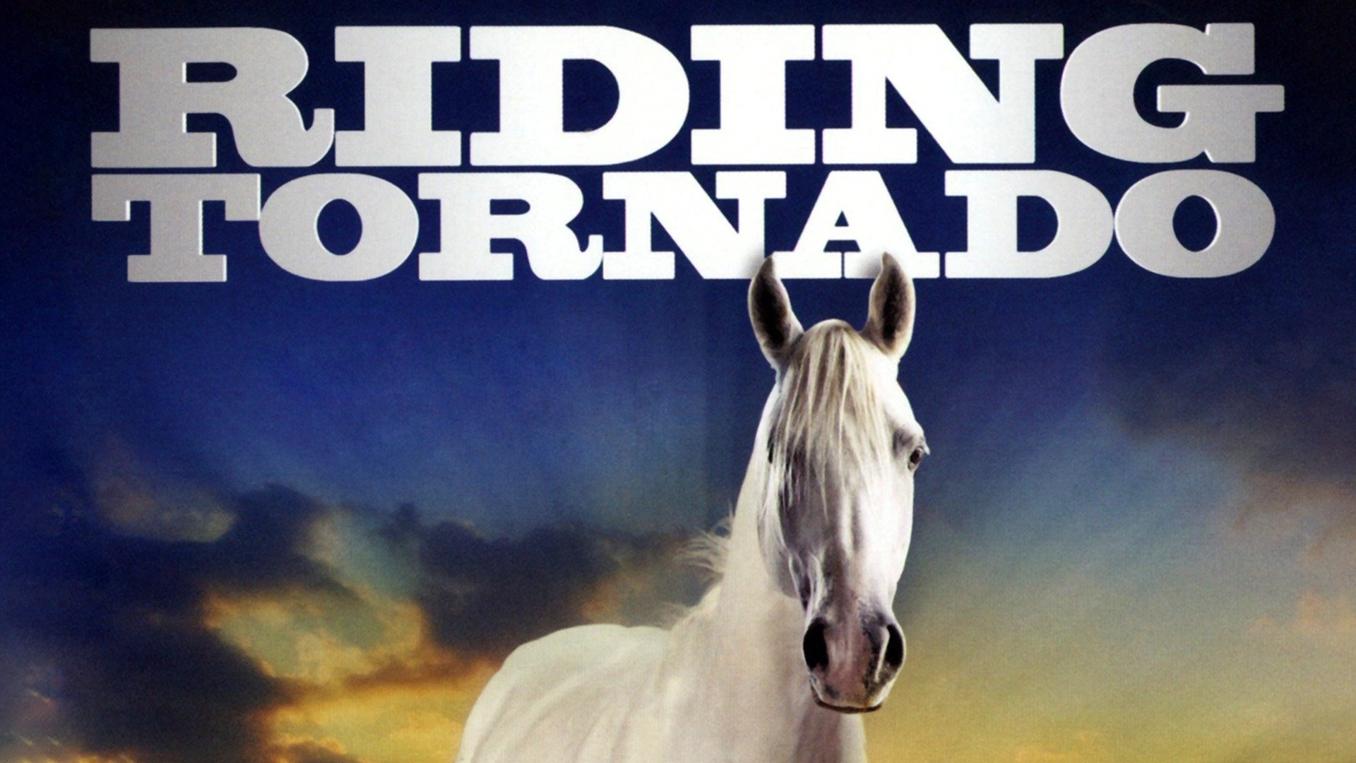 Watch Tornado and the Kalahari Horse Whisperer (2009) Full Movie Free ...