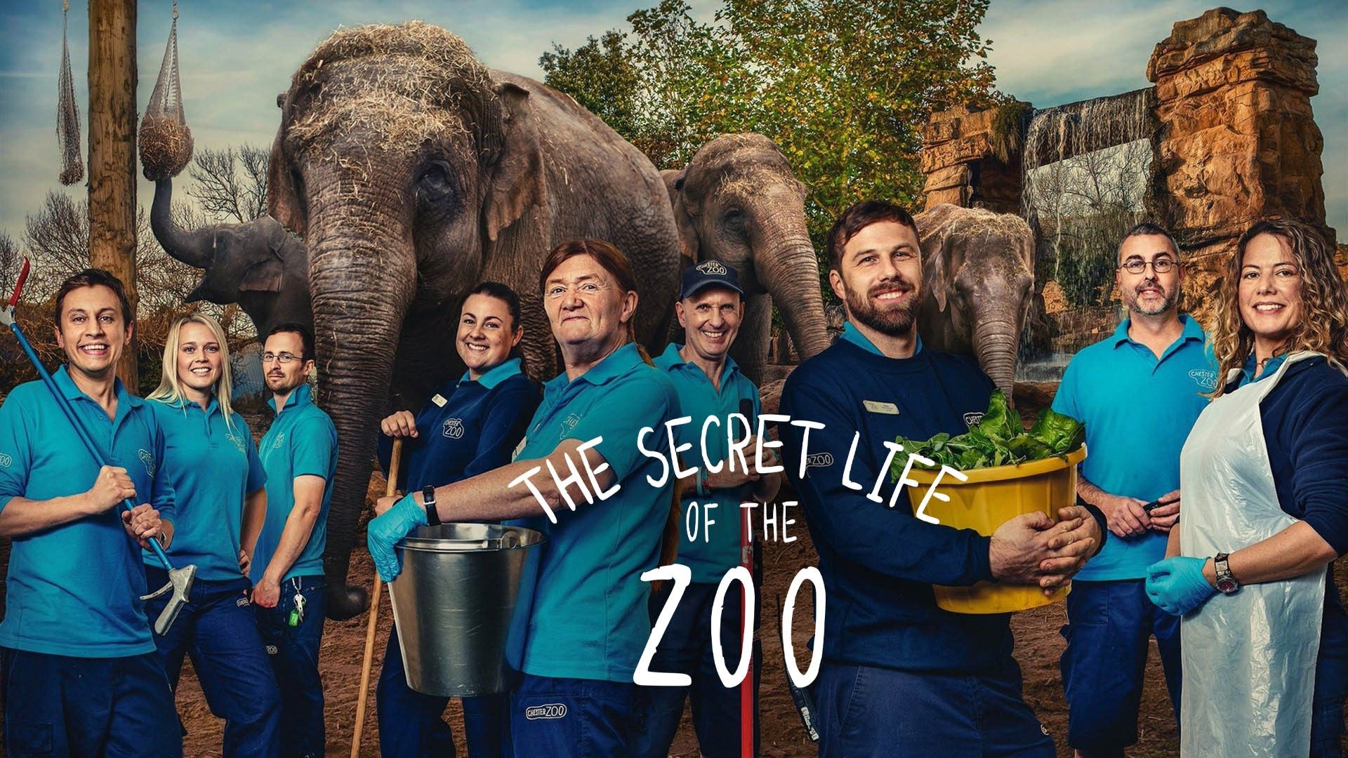 Watch The Secret Life of the Zoo · Season 5 Full Episodes Online - Plex