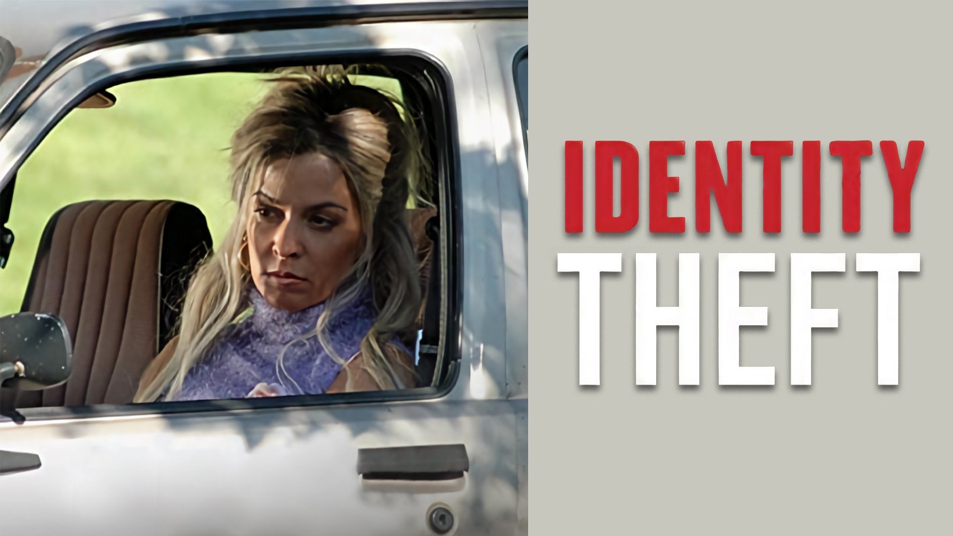 Identity Theft (2007) - Plex