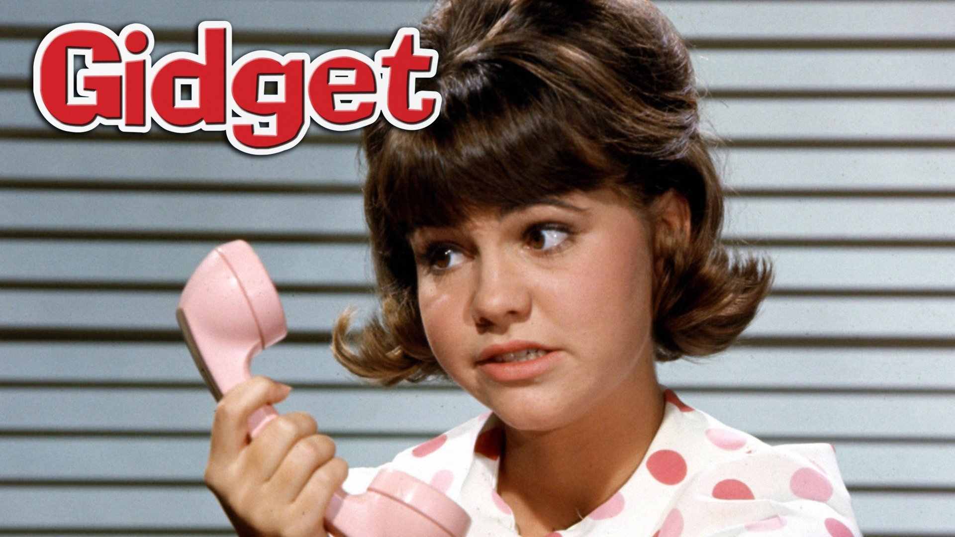 Watch Gidget (1965) TV Series Free Online - Plex