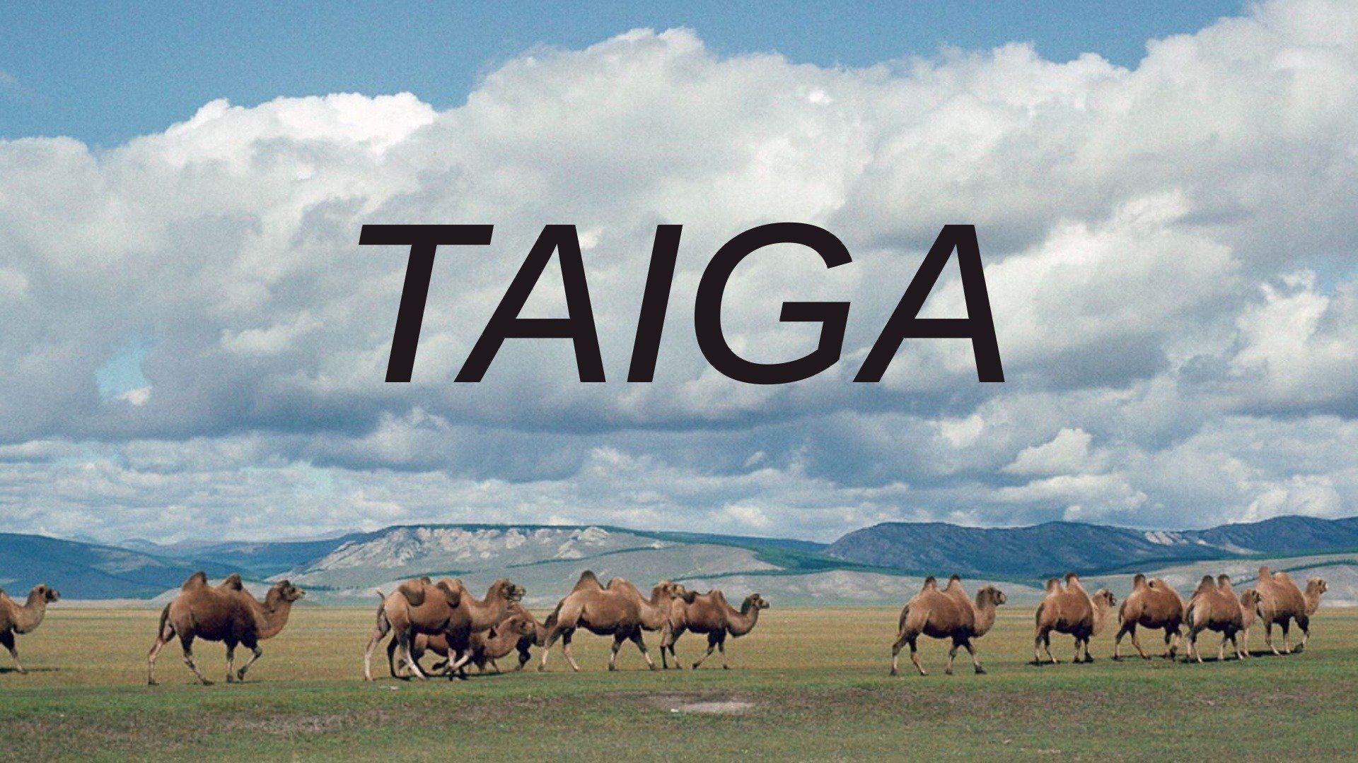 Taiga (1993) - Plex