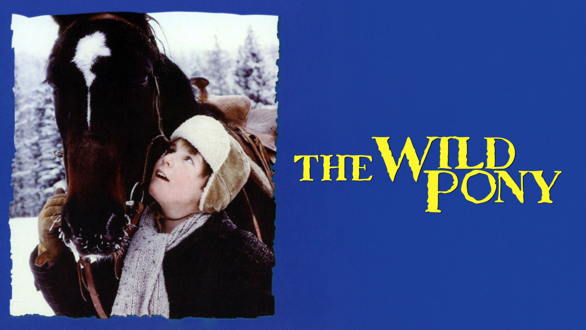 The Wild Pony (1983) - Plex
