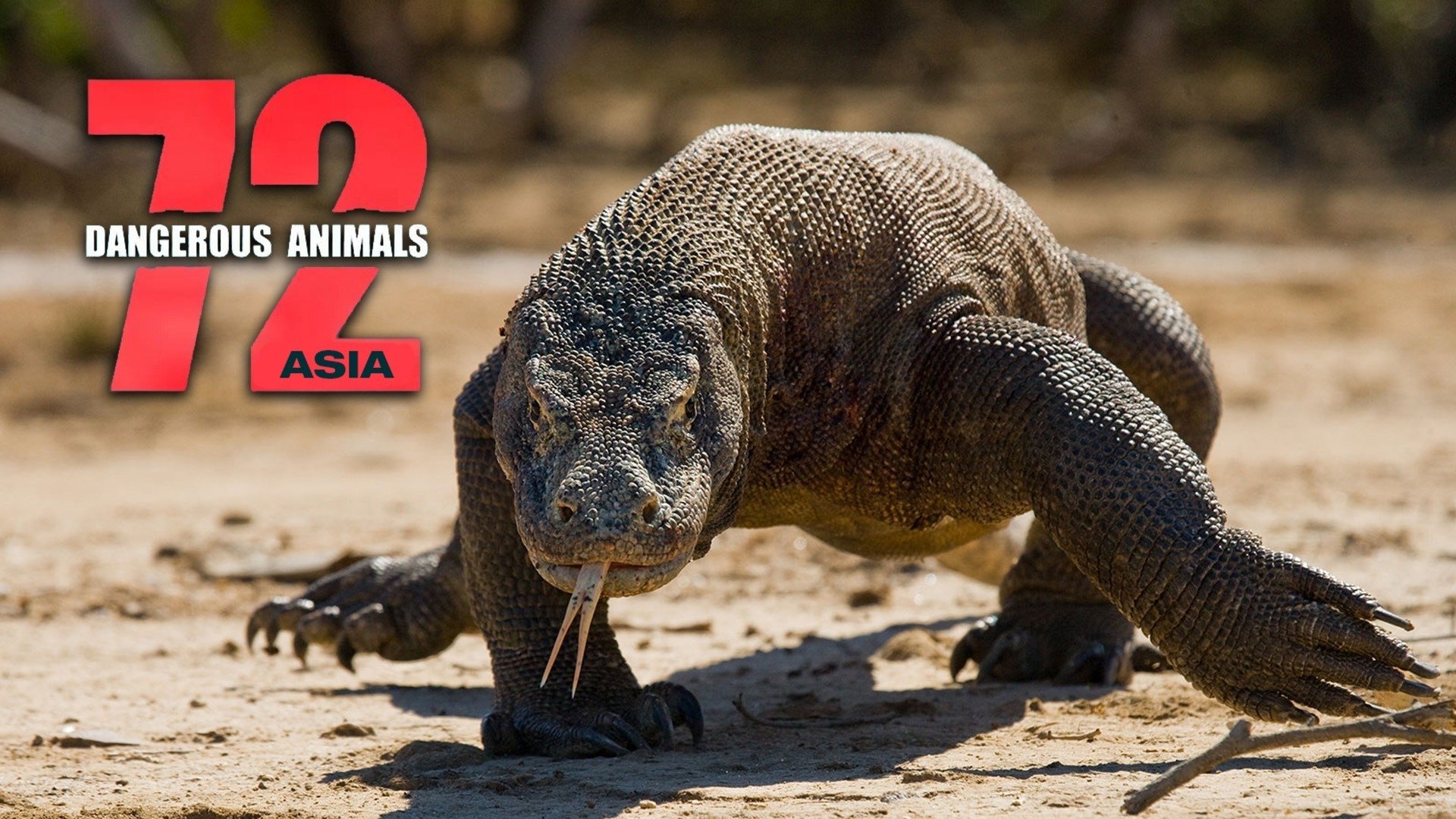 Watch 72 Dangerous Animals: Asia · Season 1 Full Episodes Online - Plex