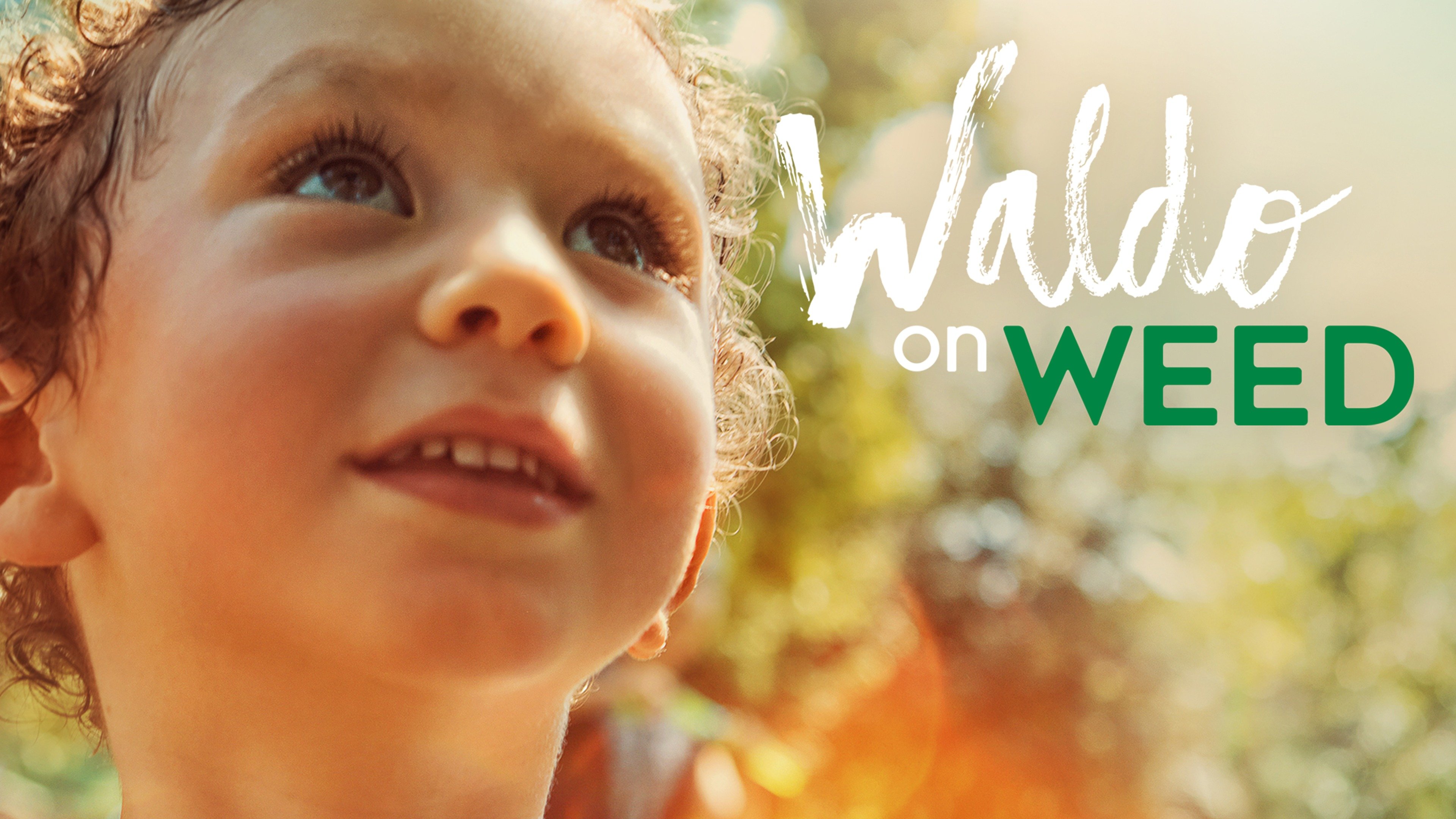 Watch Waldo on Weed (2019) Full Movie Free Online - Plex
