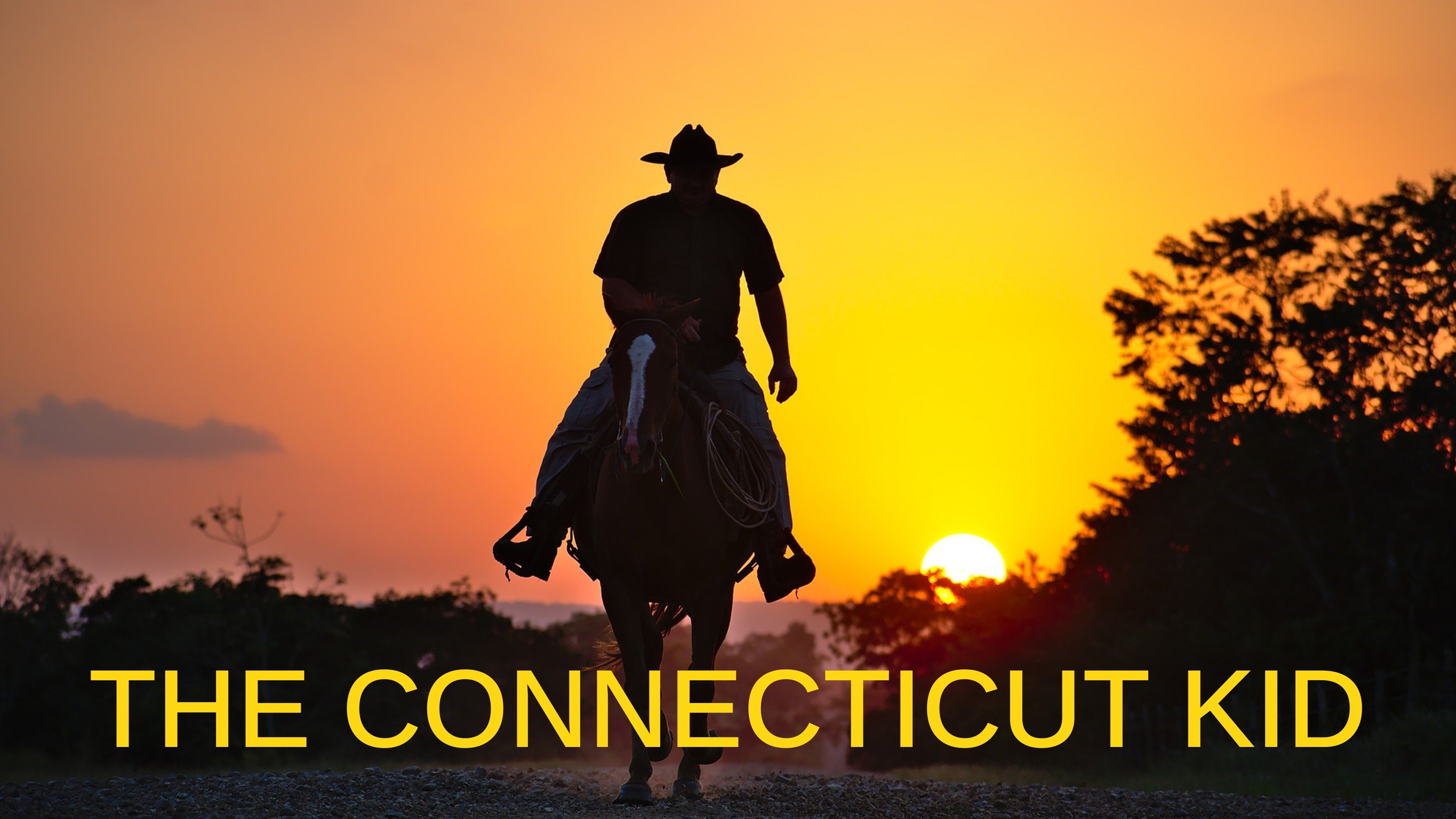 Watch The Connecticut Kid Full Movie Online - Plex