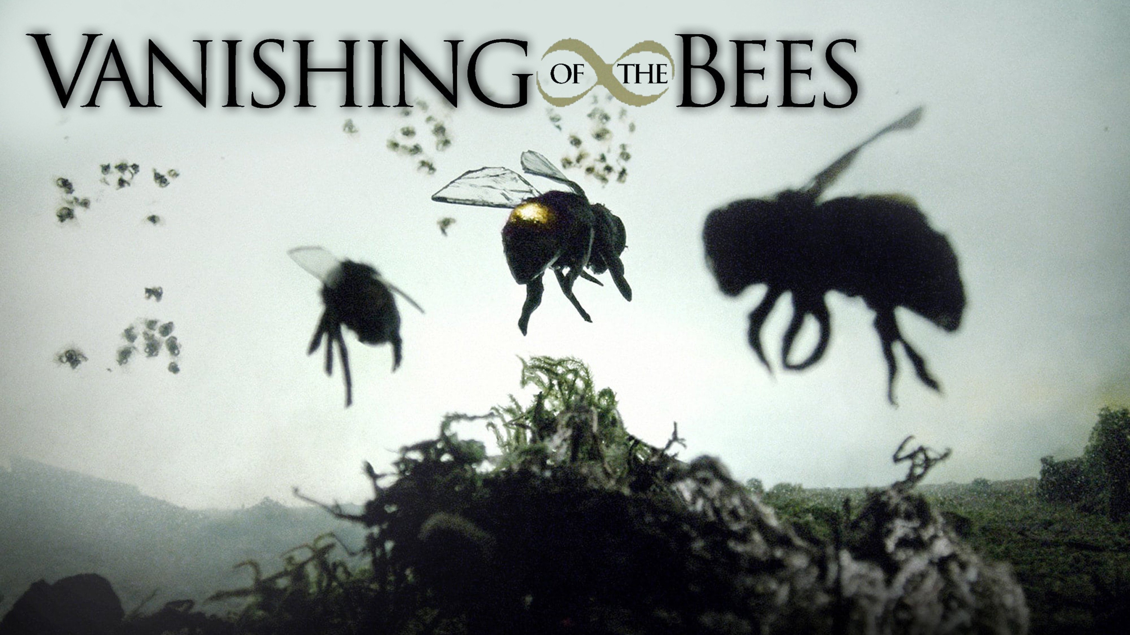 Vanishing of the Bees (2009) - Plex