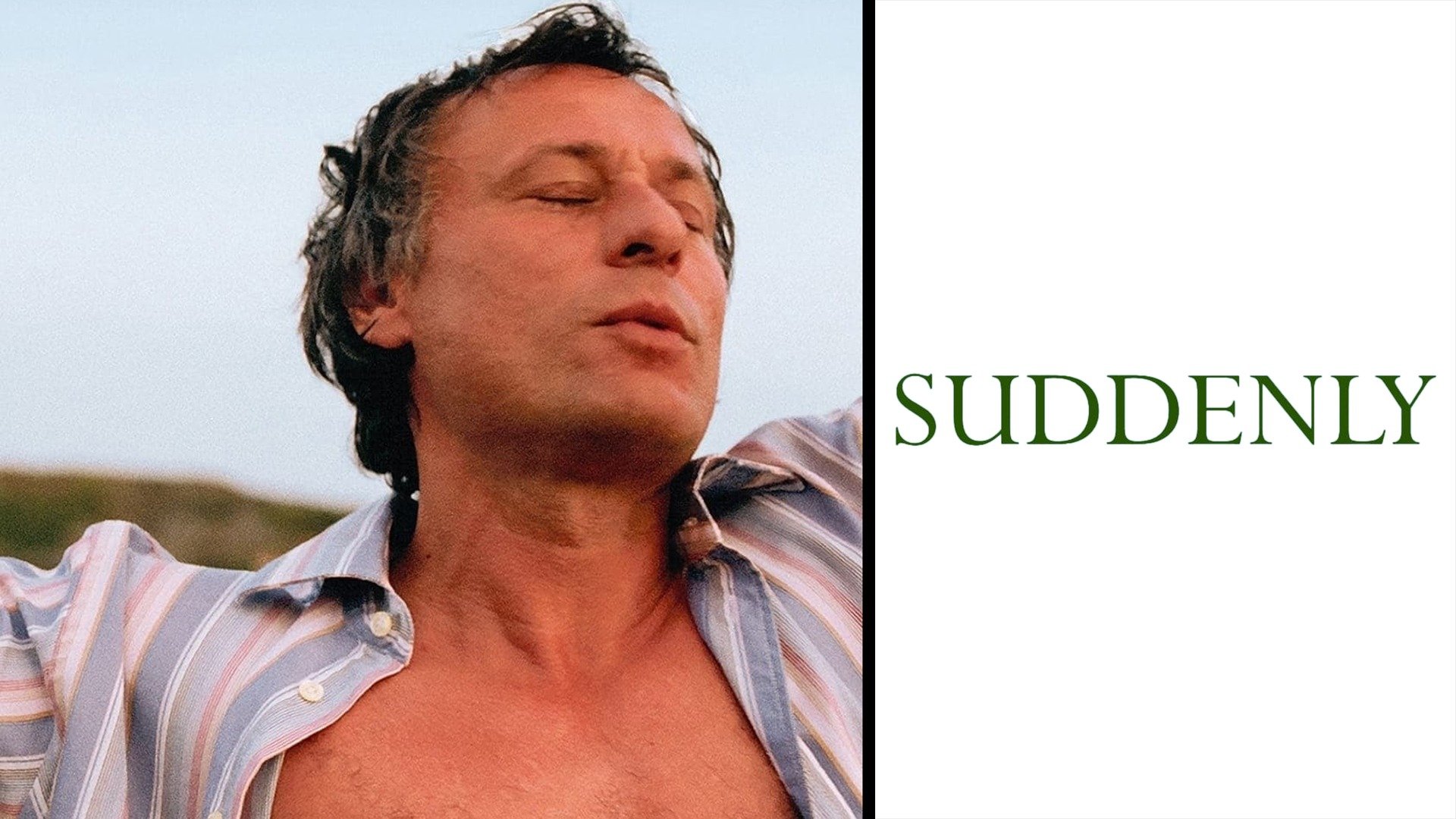Suddenly (2006) - Plex