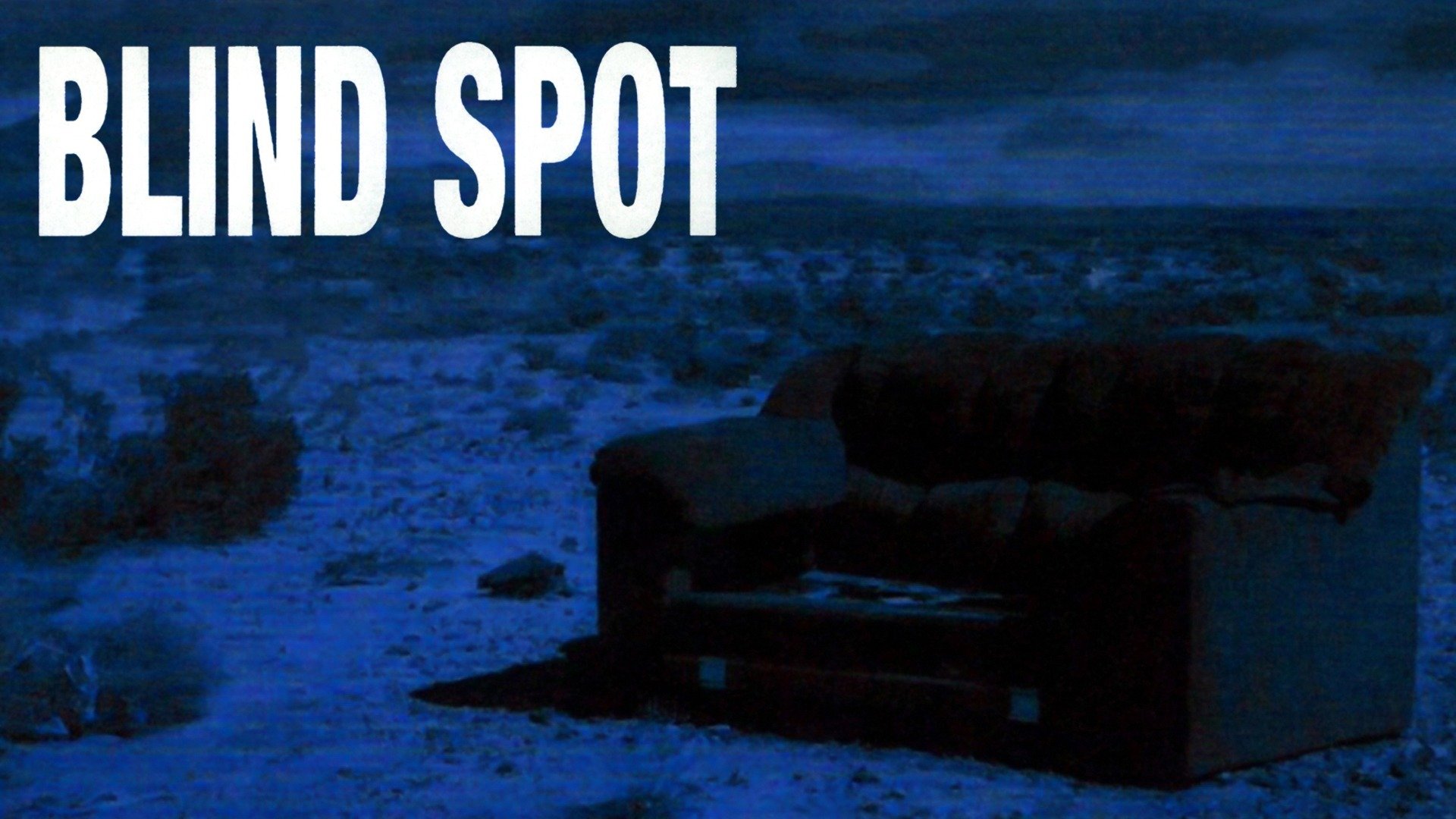 Watch Blind Spot (2008) Full Movie Free Online - Plex