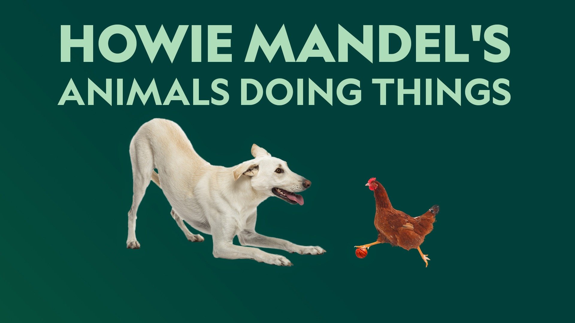 Watch Howie Mandel's Animals Doing Things (2018) TV Series Online - Plex