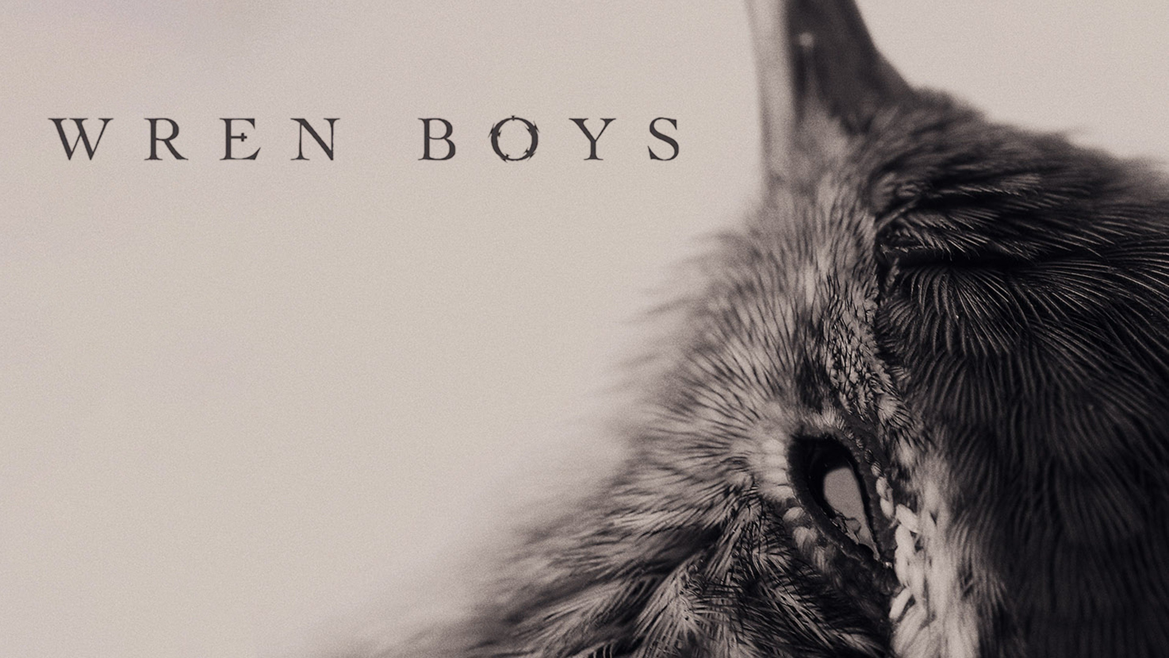 Watch Wren Boys (2017) Full Movie Free Online - Plex