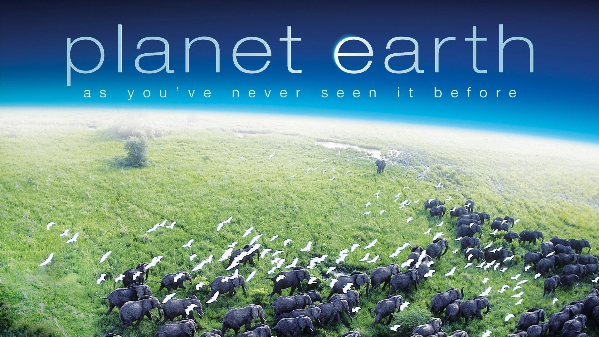 Watch Planet Earth (2006) TV Series Free Online - Plex