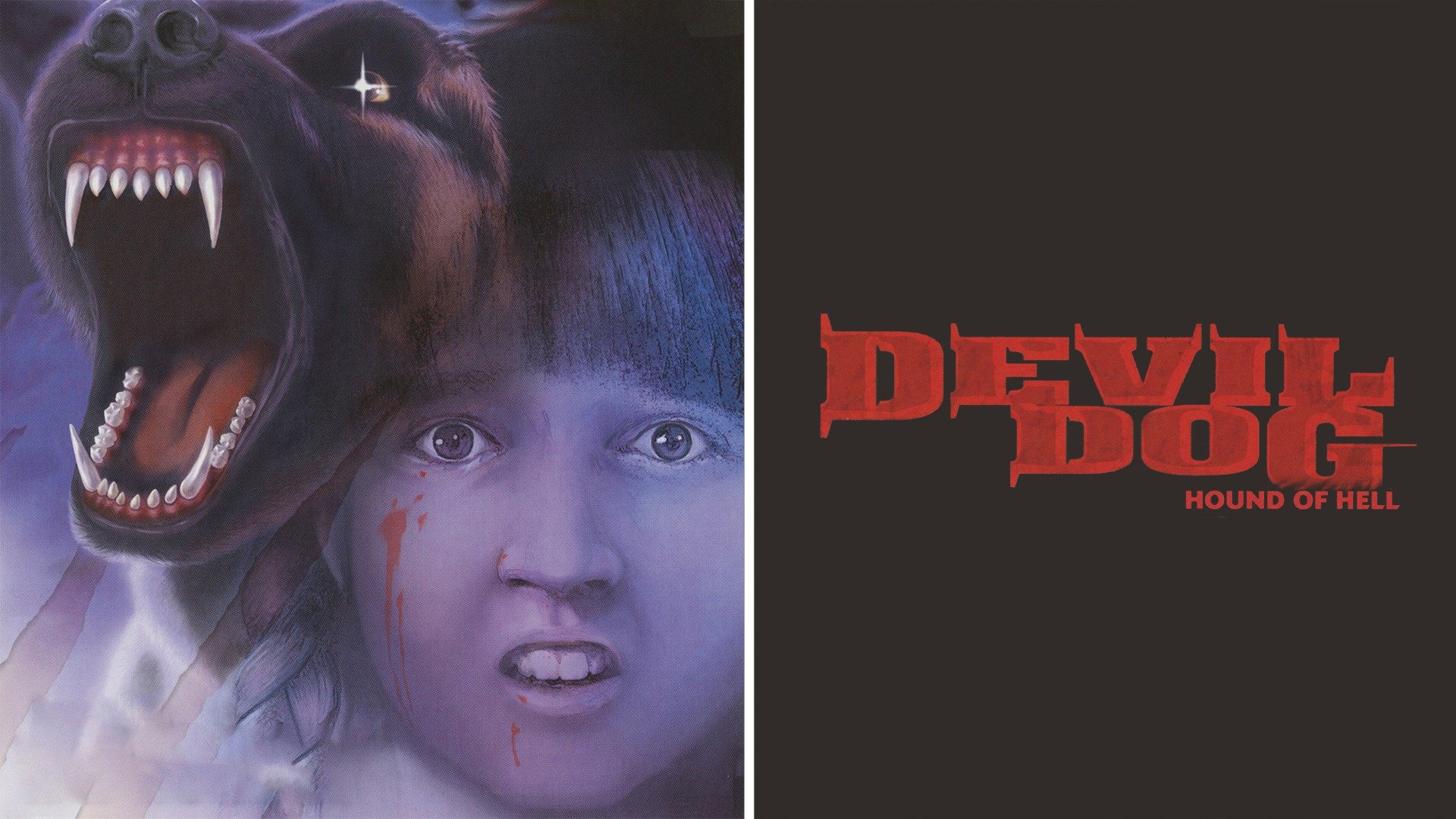 Watch Devil Dog: The Hound of Hell (1978) Full Movie Free Online - Plex