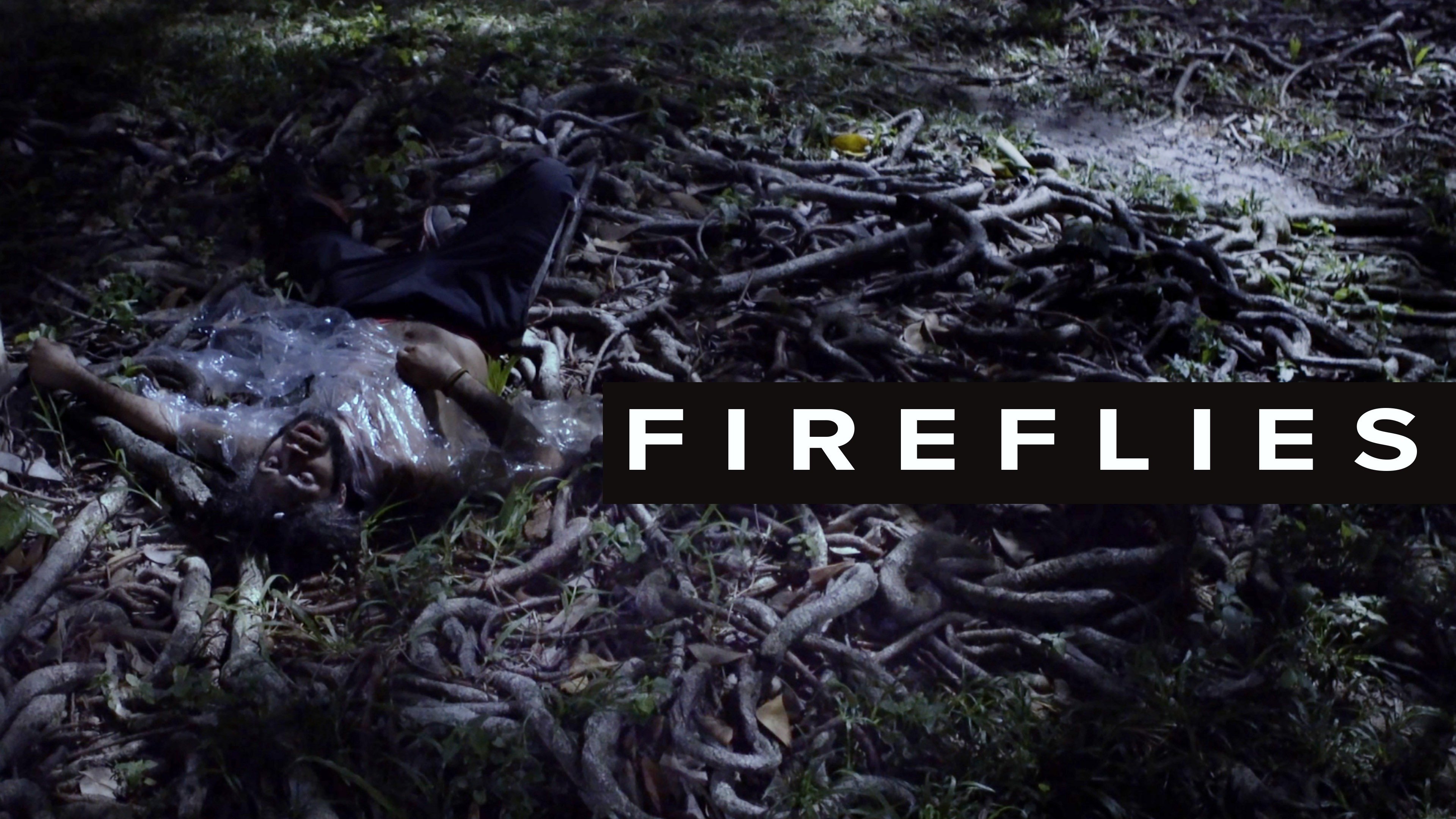Watch Fireflies (2021) Full Movie Online - Plex