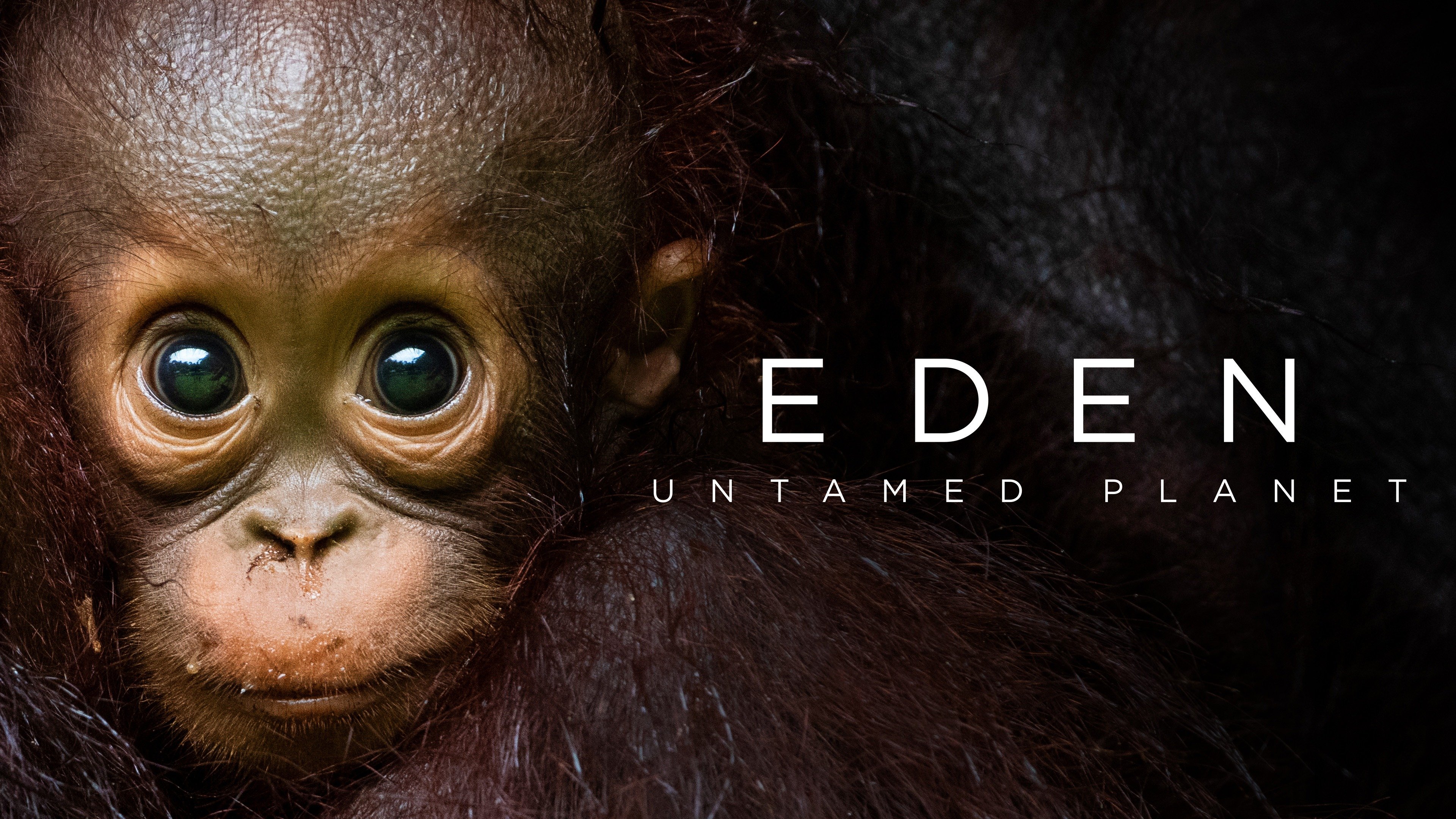 Eden: Untamed Planet · Season 1 - Plex