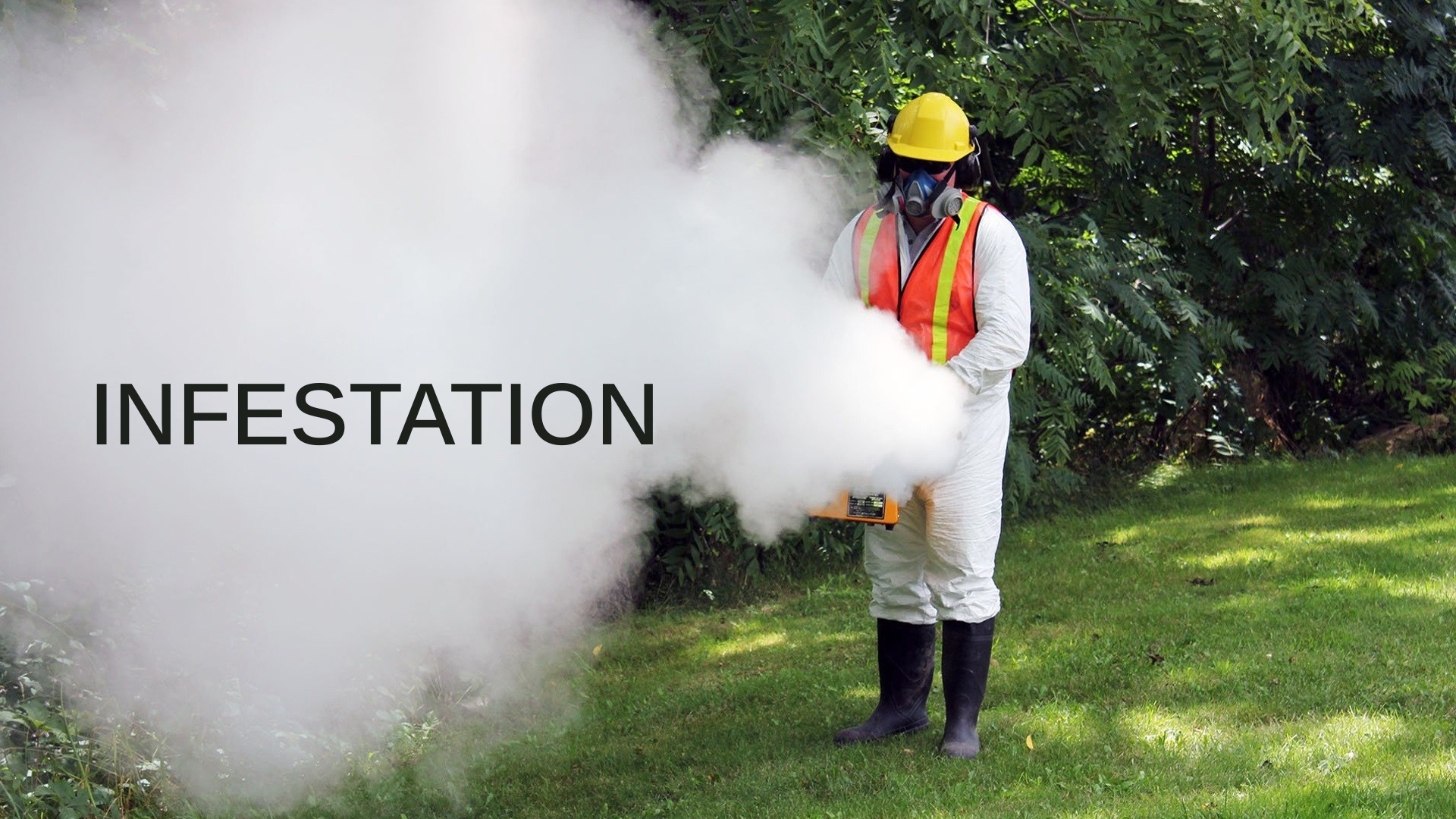 Watch Infestation · Season 1 Full Episodes Online - Plex