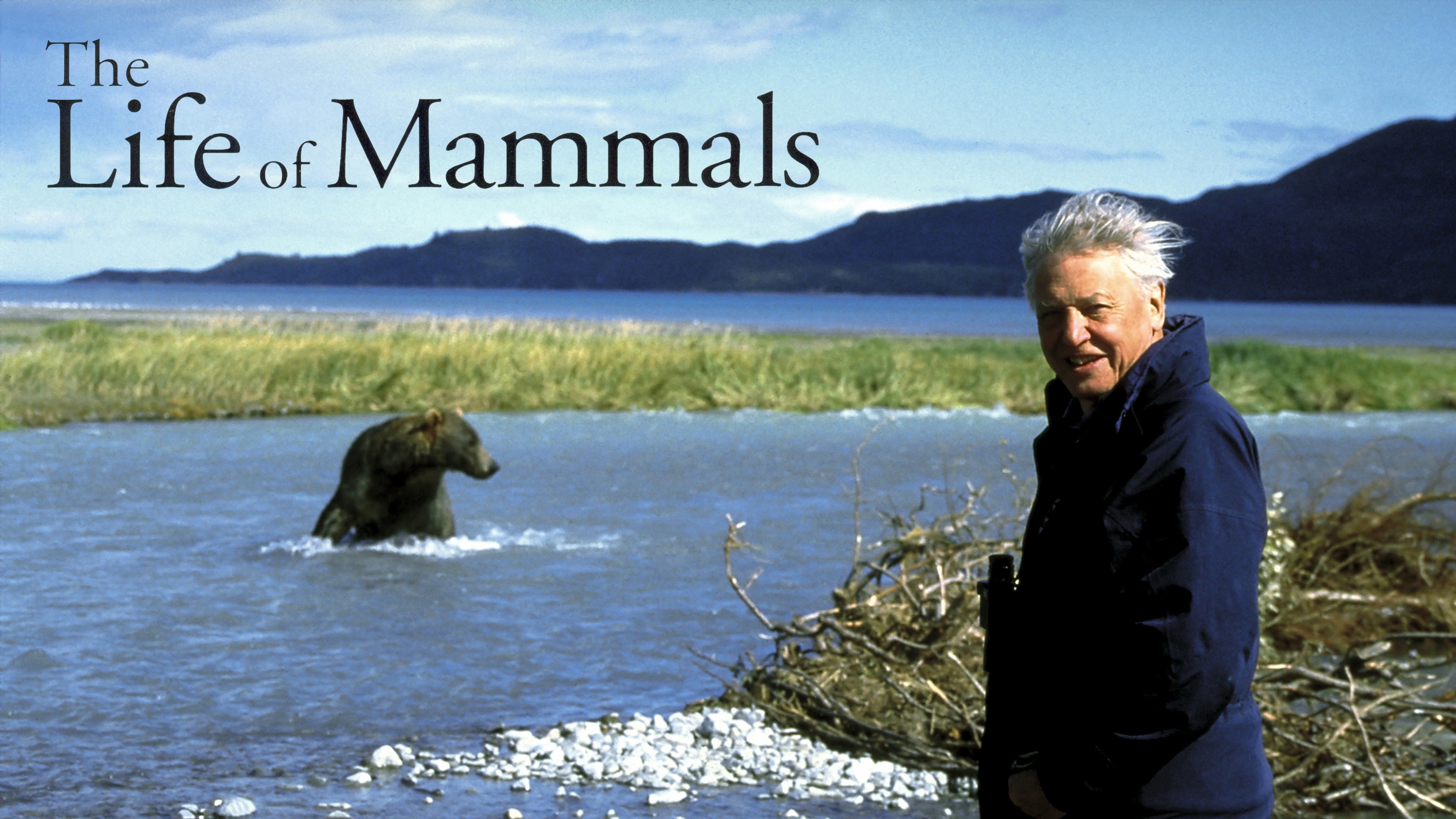 The Life of Mammals · Season 1 - Plex