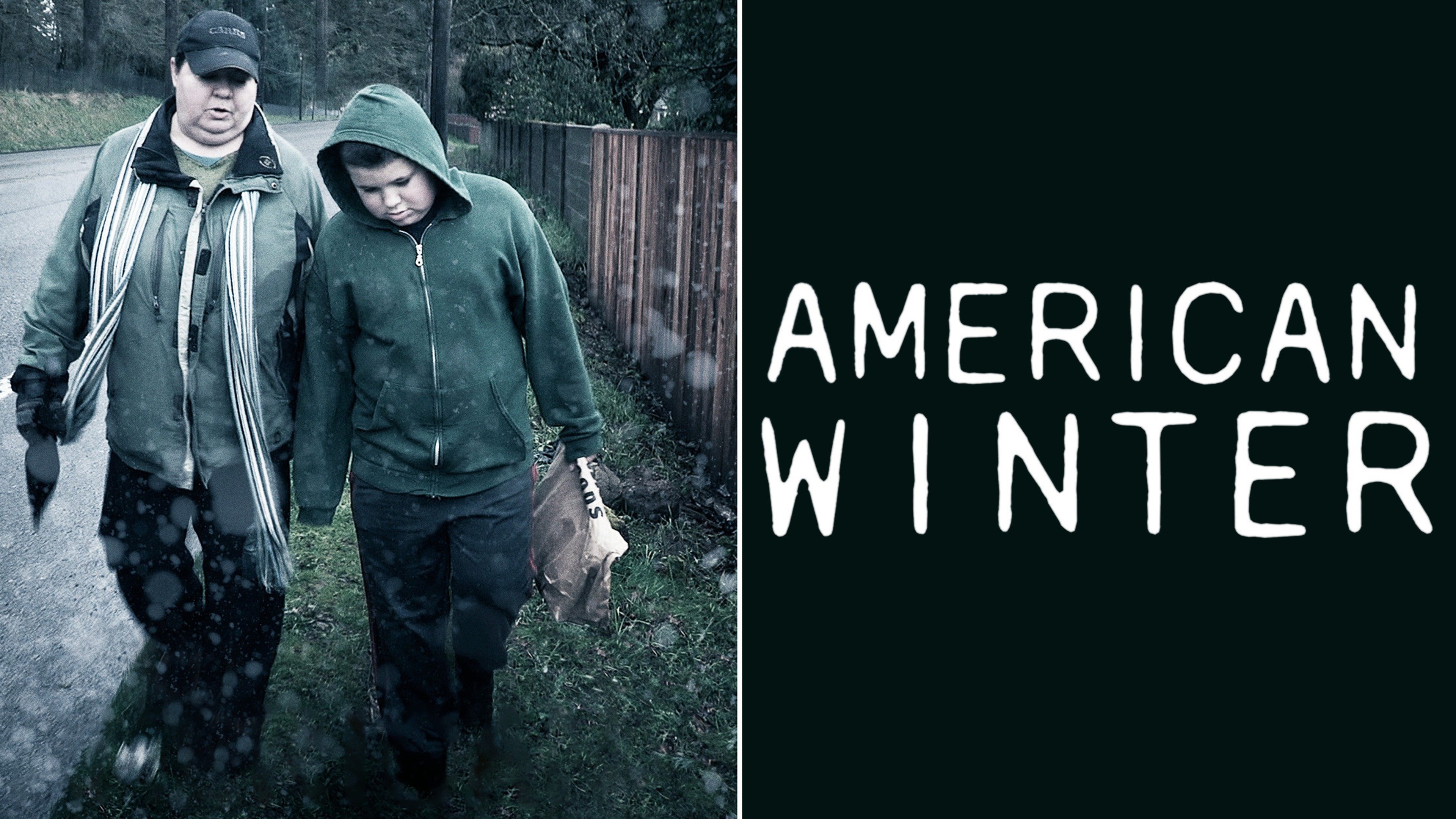 Watch American Winter (2013) Full Movie Free Online - Plex