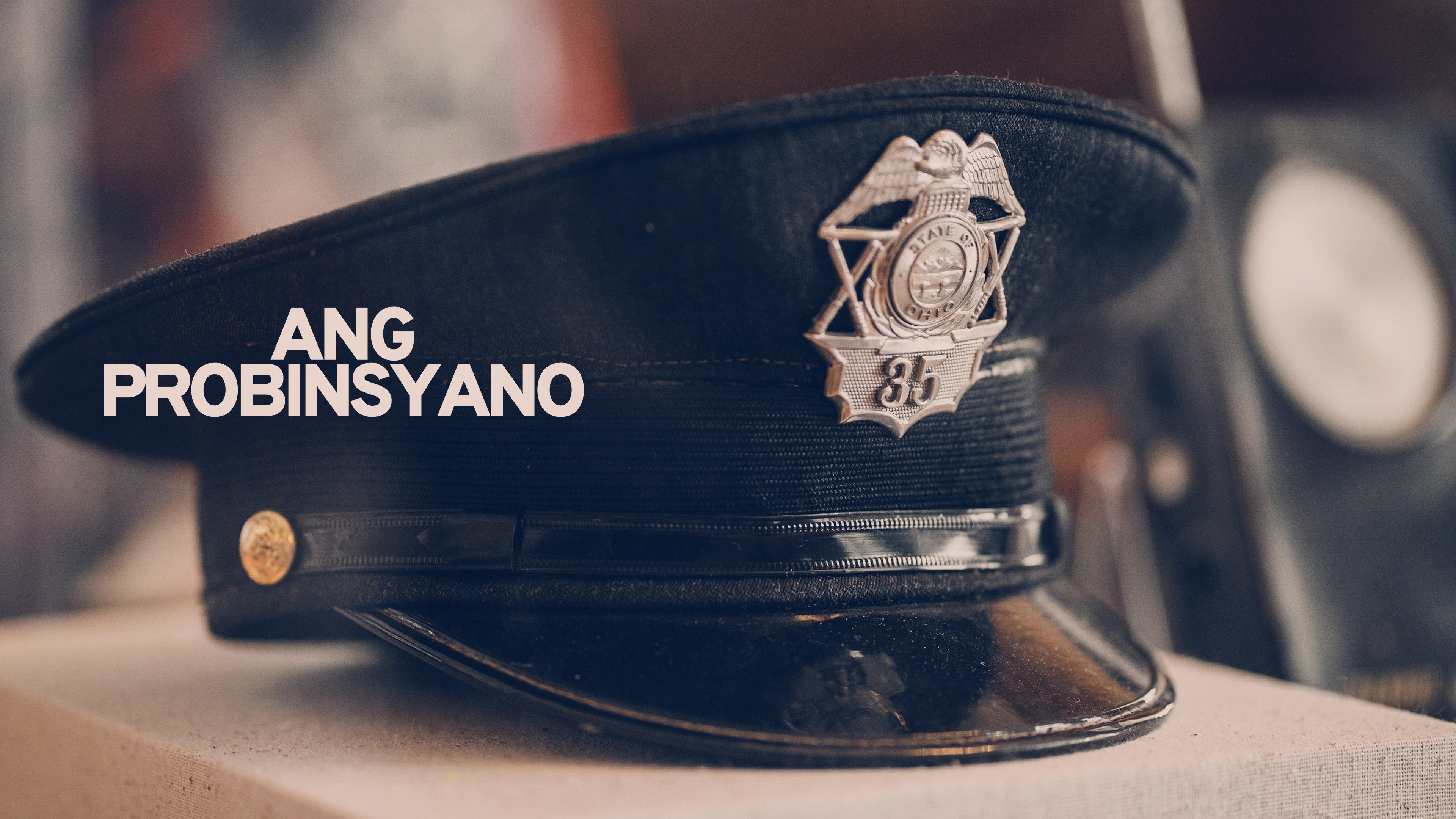 Ang probinsyano (1996) - Plex