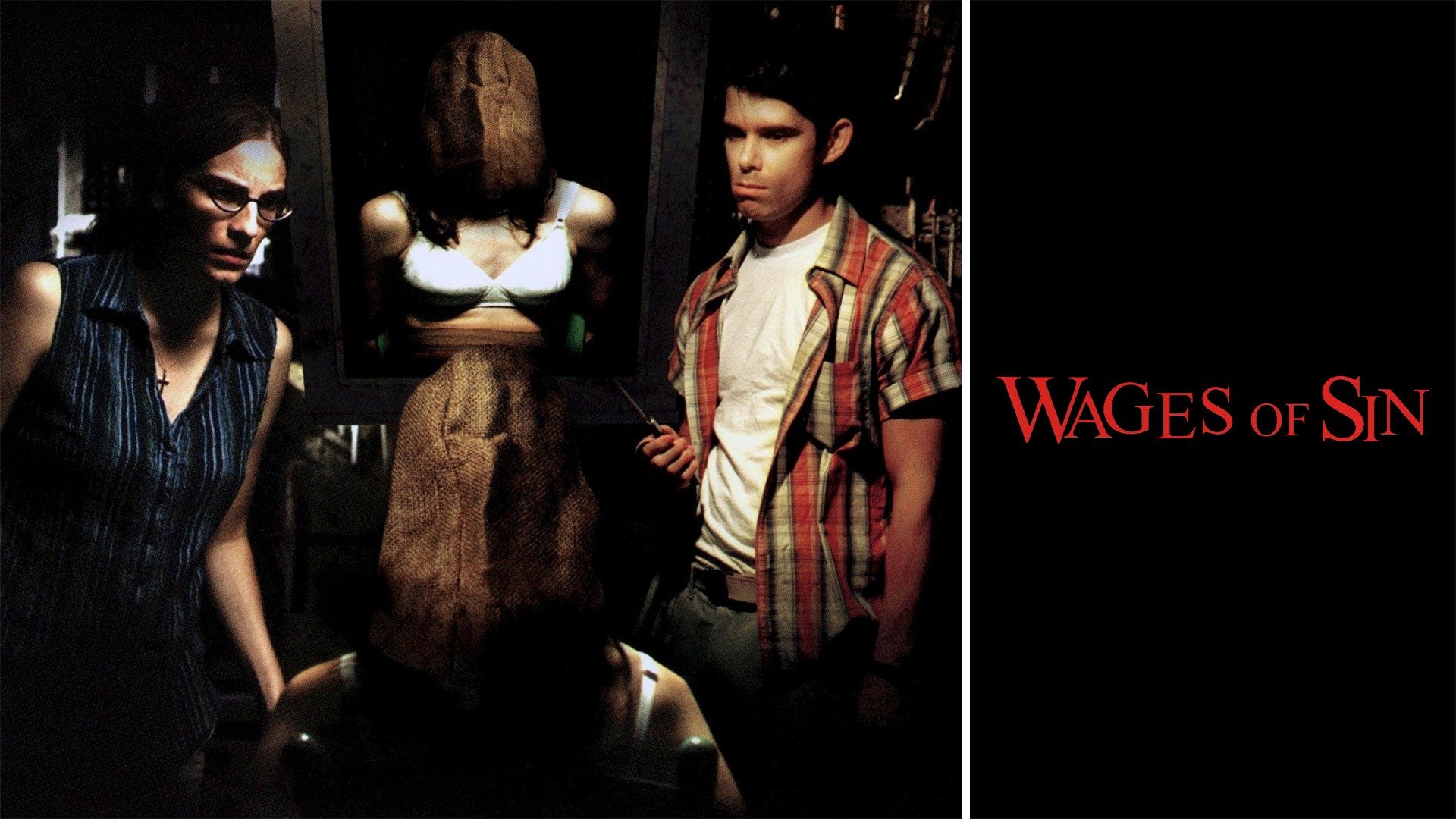 Watch Wages of Sin (2011) Full Movie Online - Plex