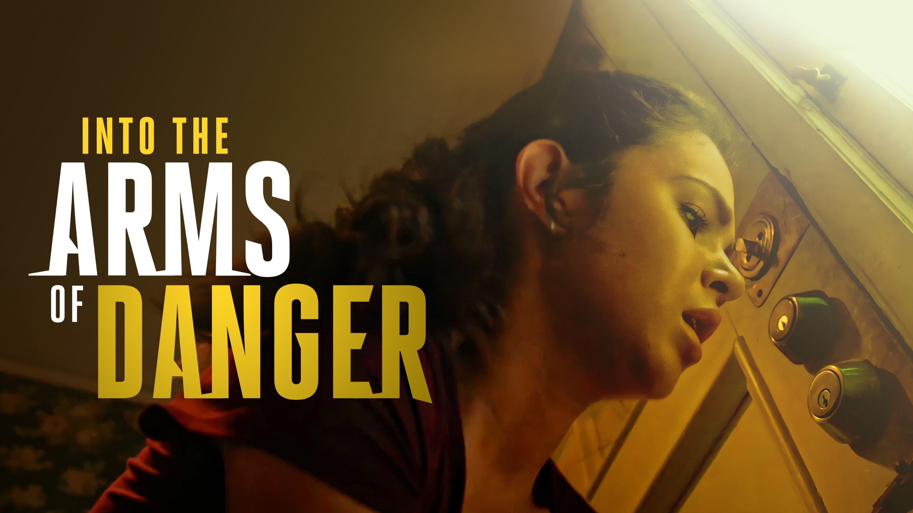 Watch Into the Arms of Danger (2020) Full Movie Online - Plex