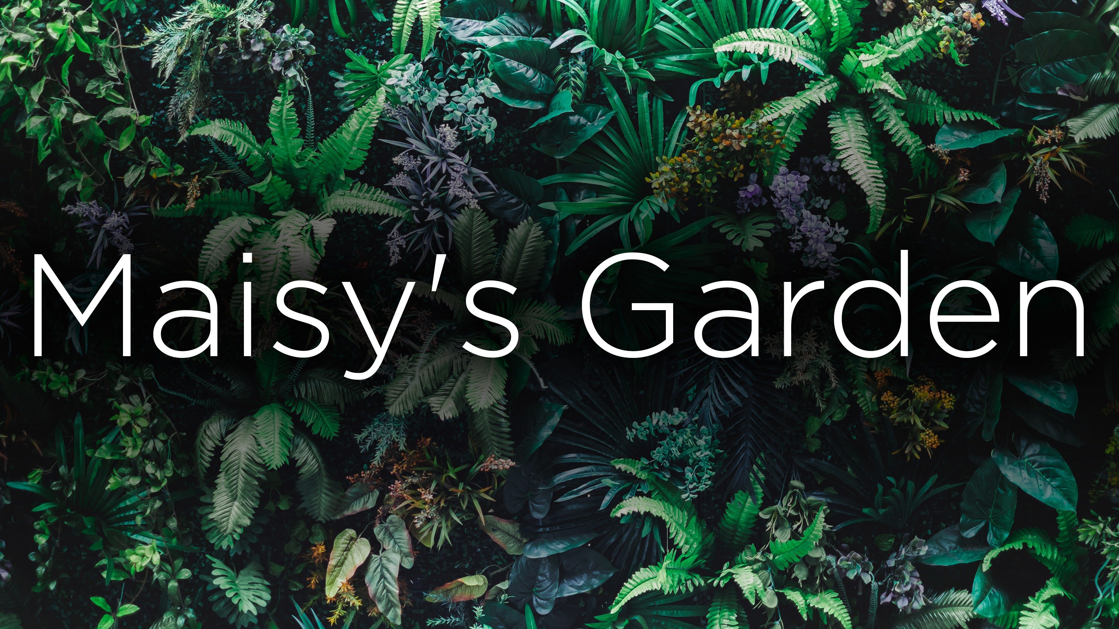 Watch Maisy's Garden Full Movie Online - Plex