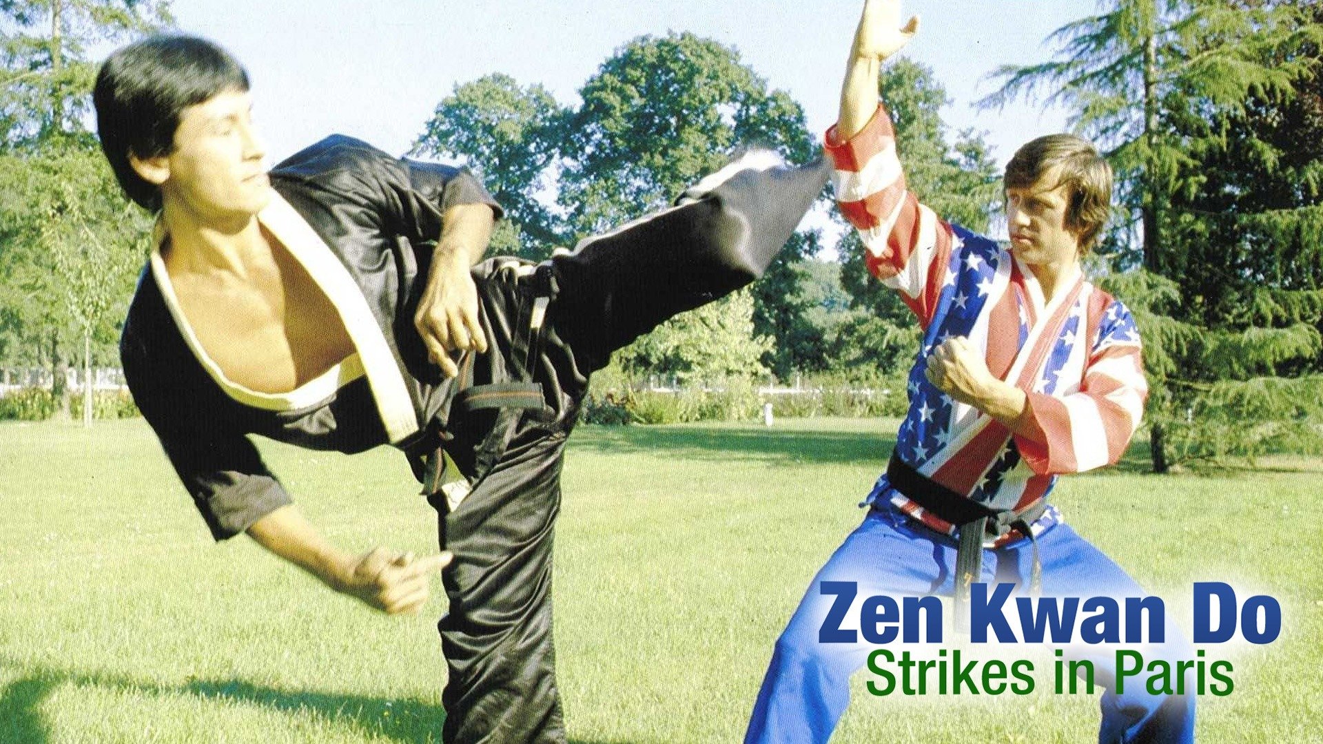Watch Zen Kwan Do Strikes Paris (1979) Full Movie Free Online - Plex