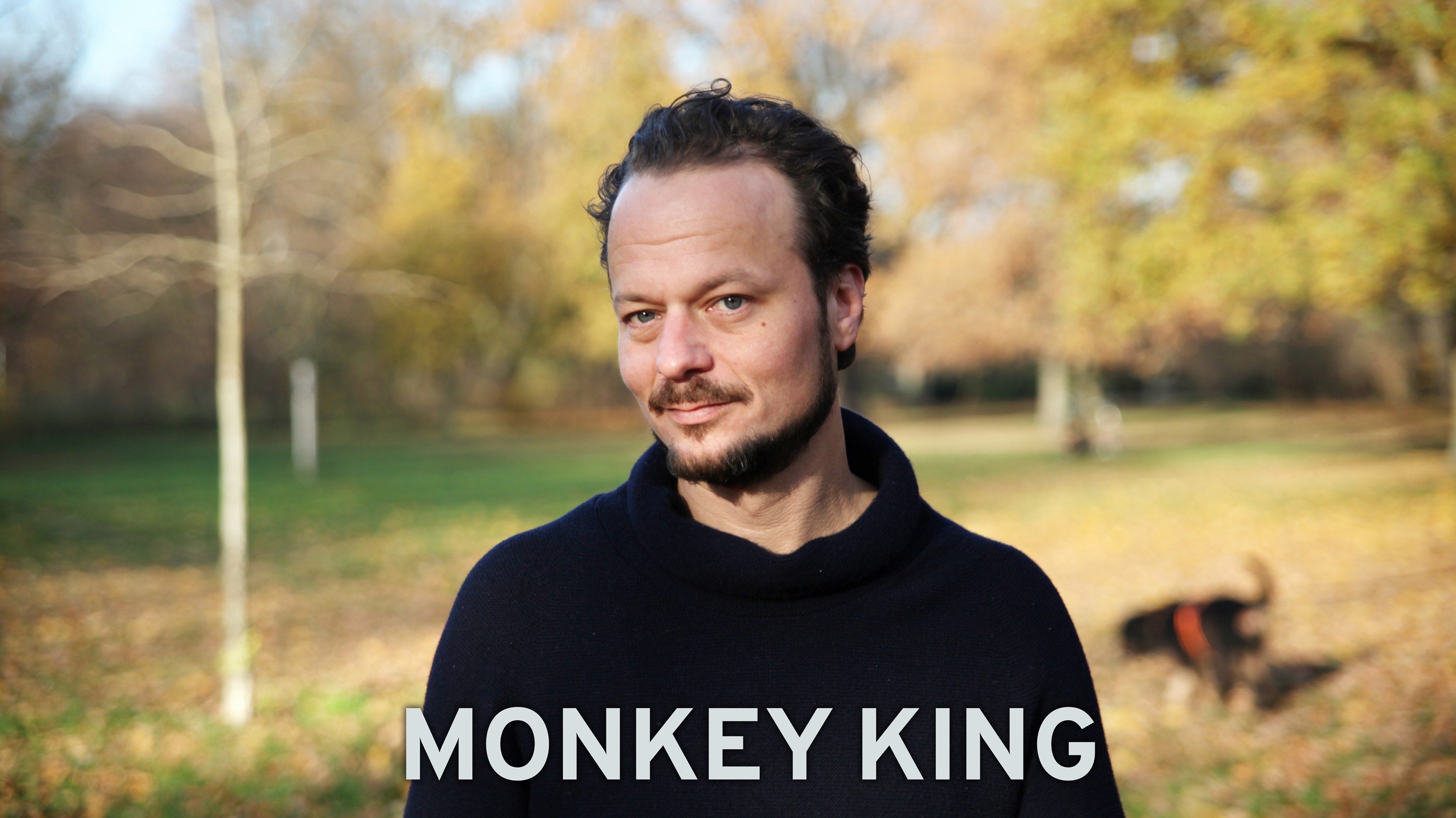 Monkey King (2016) - Plex