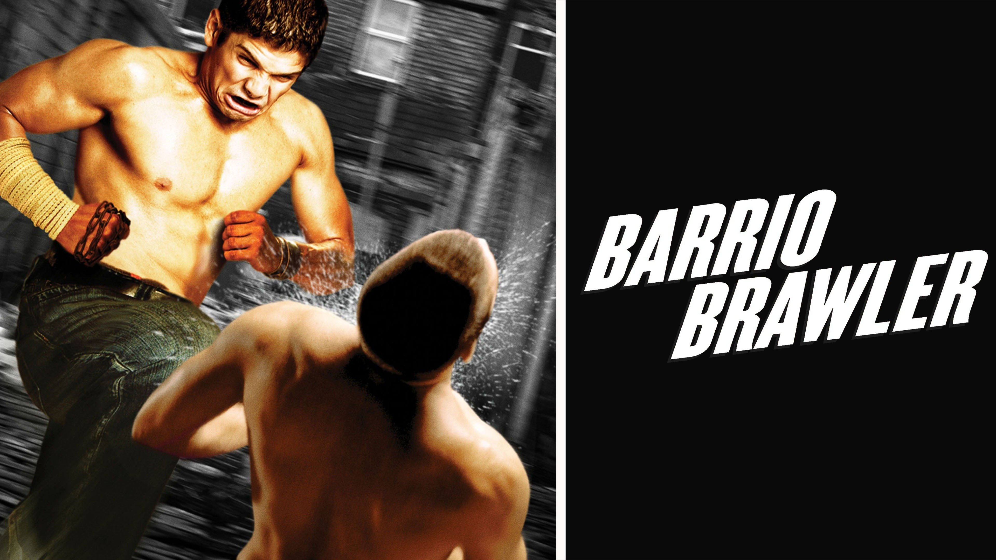 Watch American Brawler (2013) Full Movie Free Online - Plex