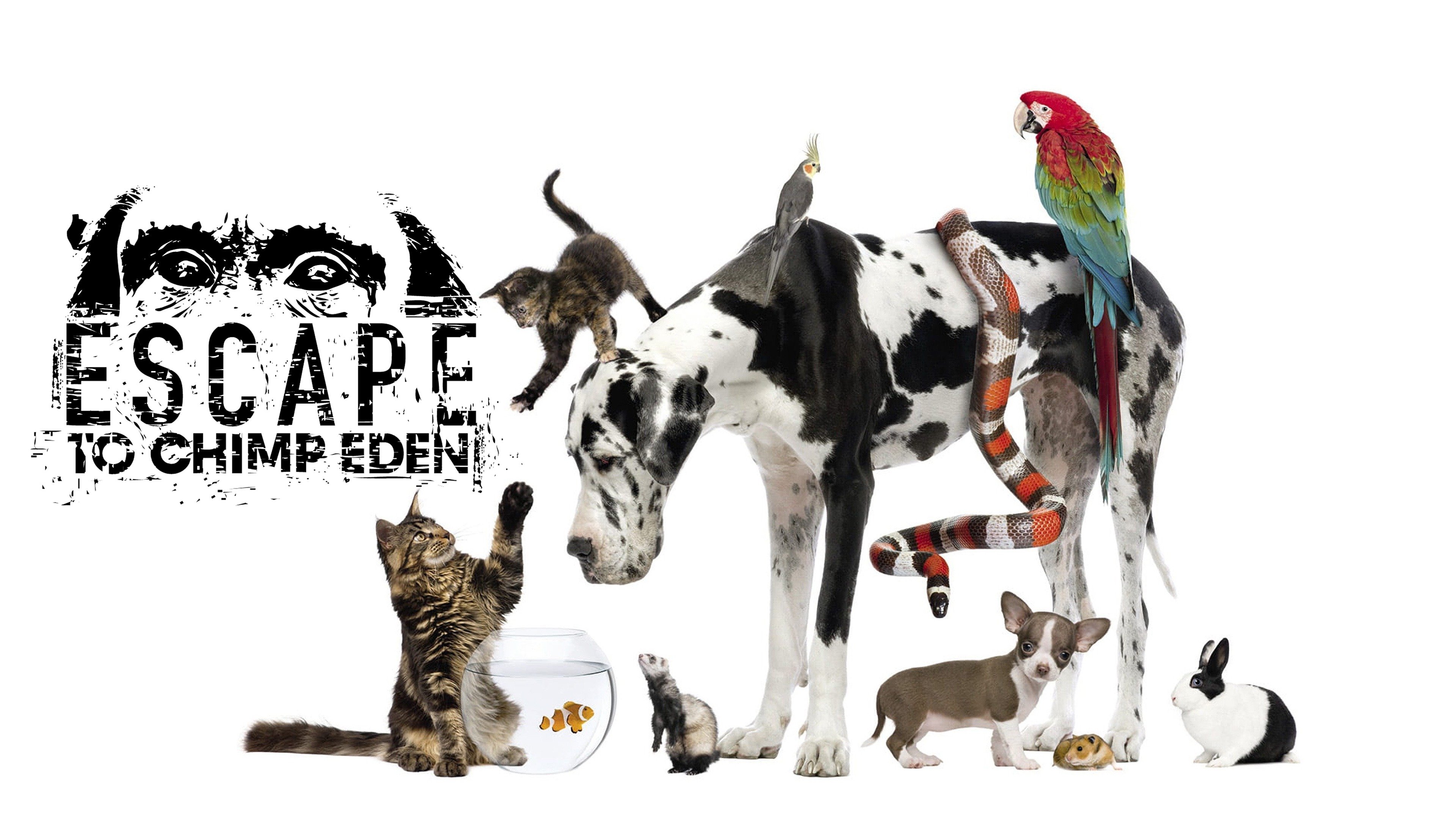 Watch Escape to Chimp Eden · Season 1 Full Episodes Online - Plex