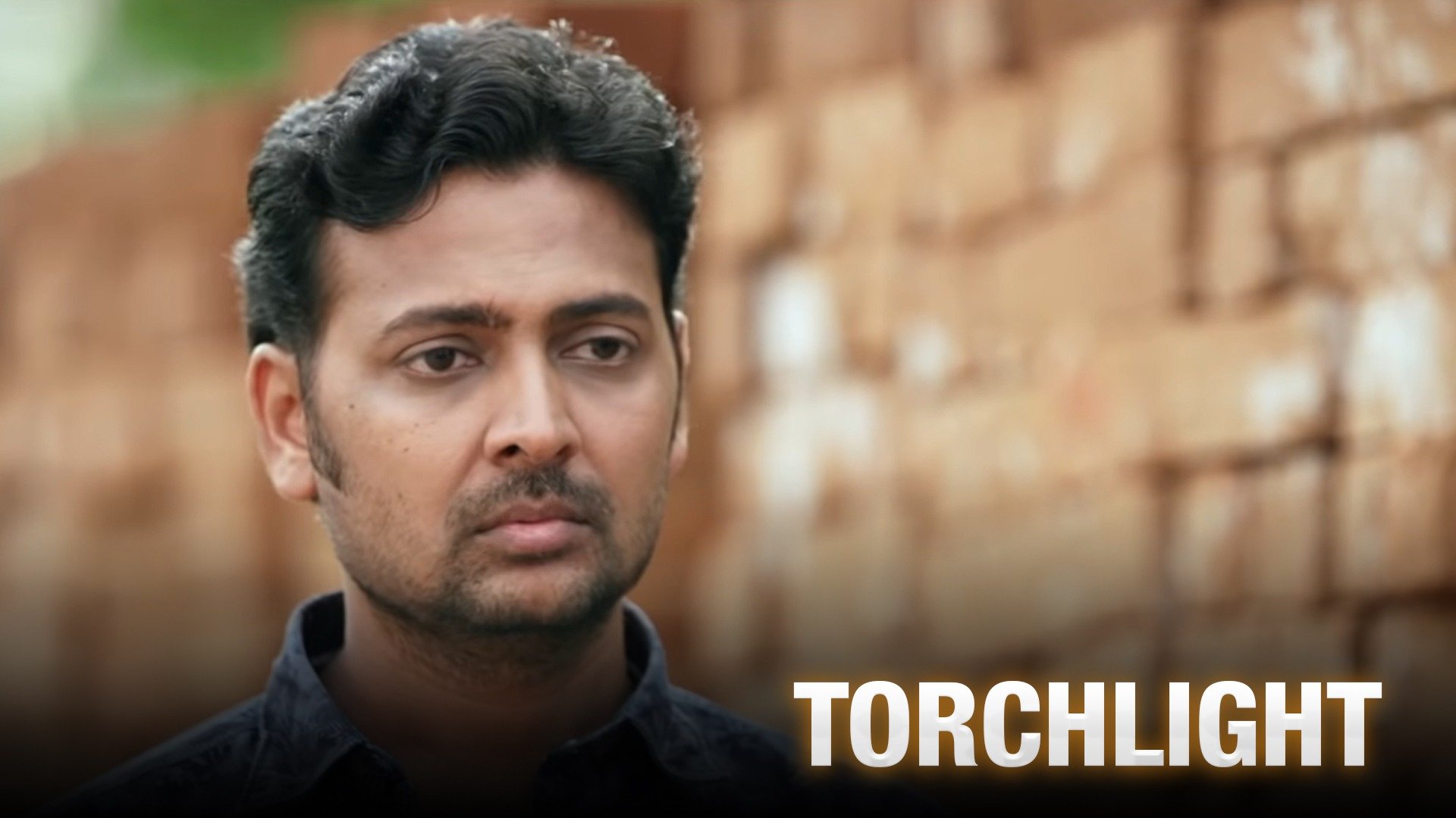Watch Torchlight (2018) Full Movie Online - Plex