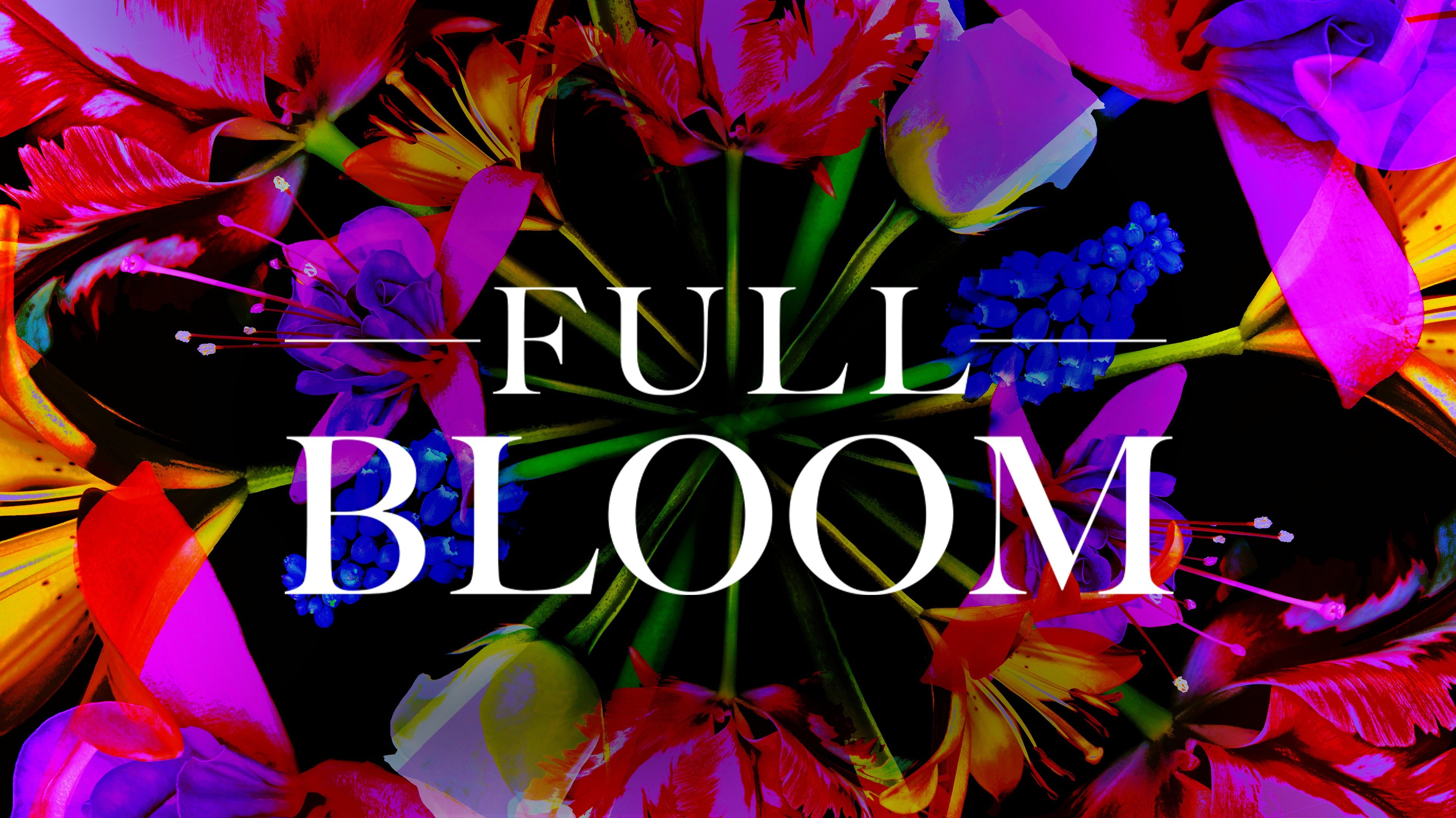 Full Bloom · Season 1 - Plex