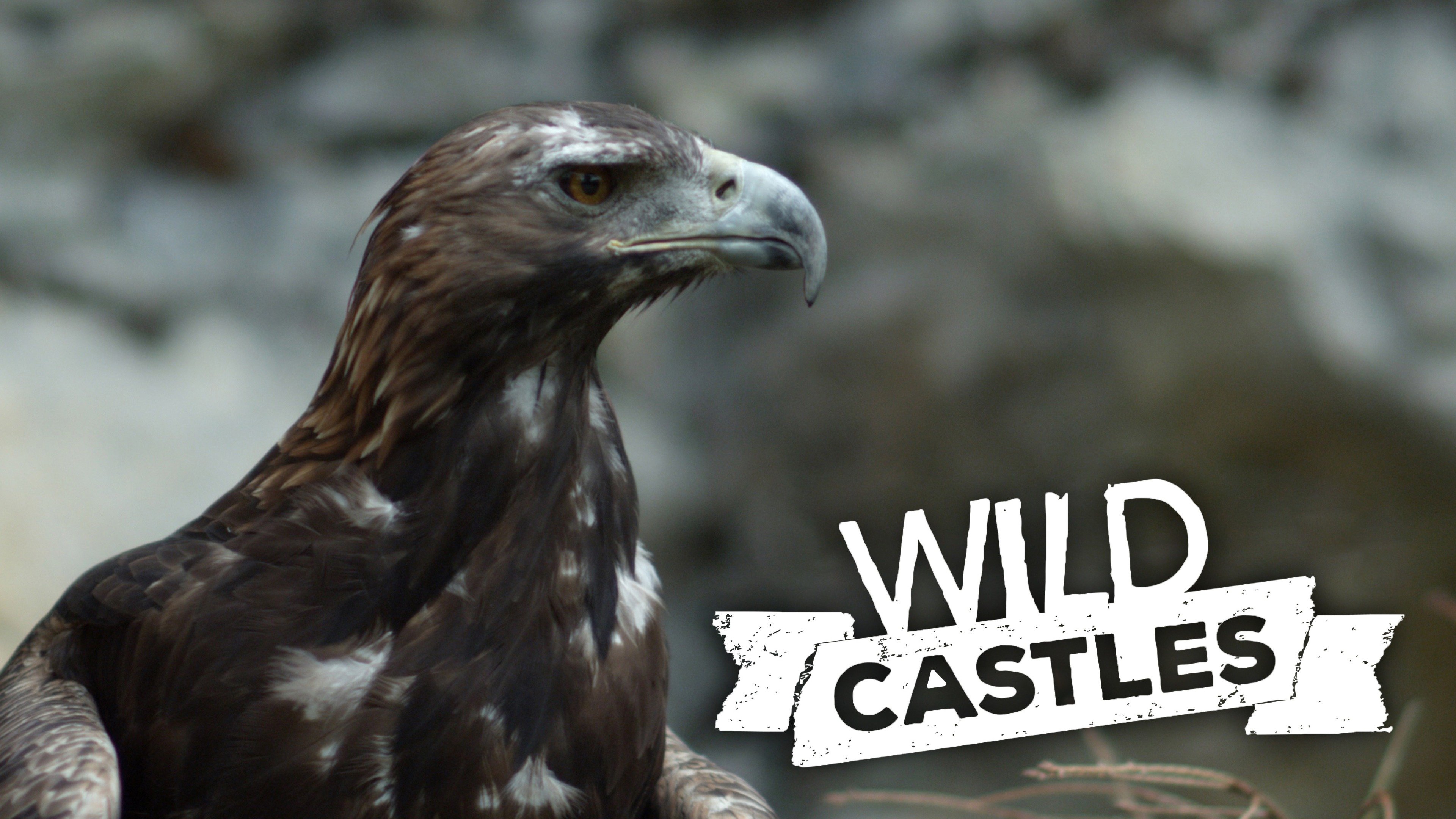 Watch Wild Castles (2017) TV Series Free Online - Plex