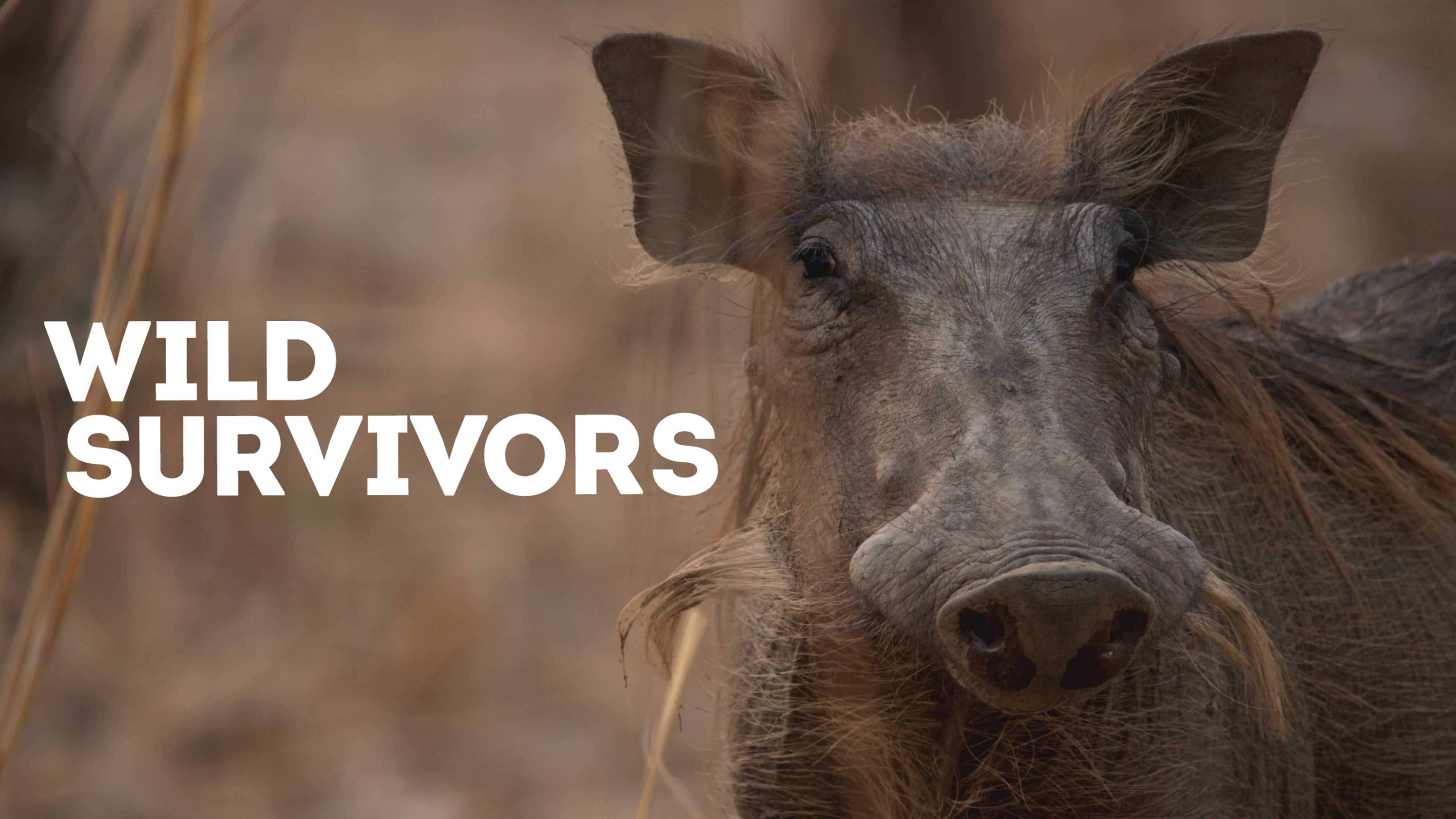 Watch Wild Survivors (2017) TV Series Online - Plex