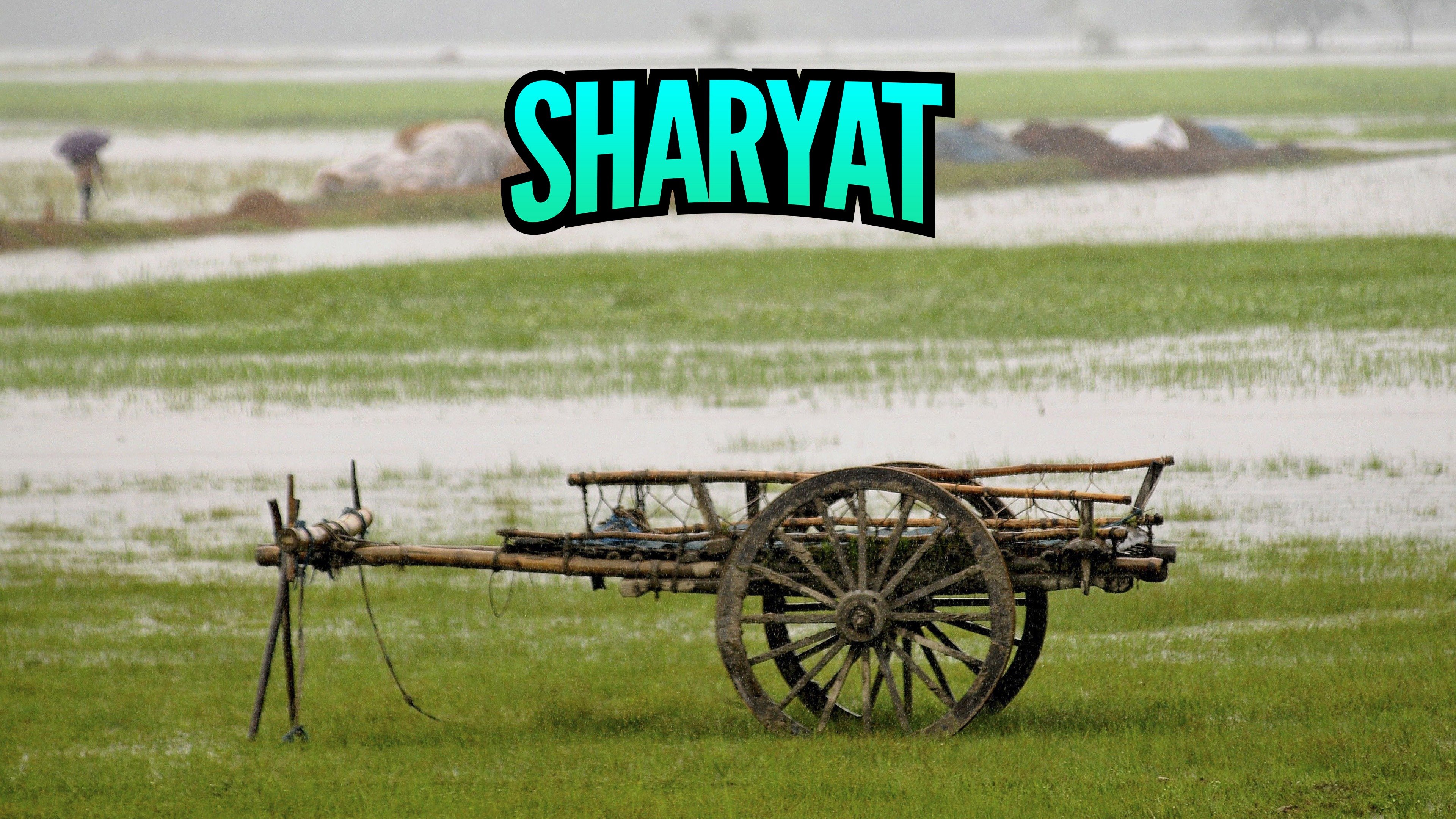 Sharyat (2011) - Plex