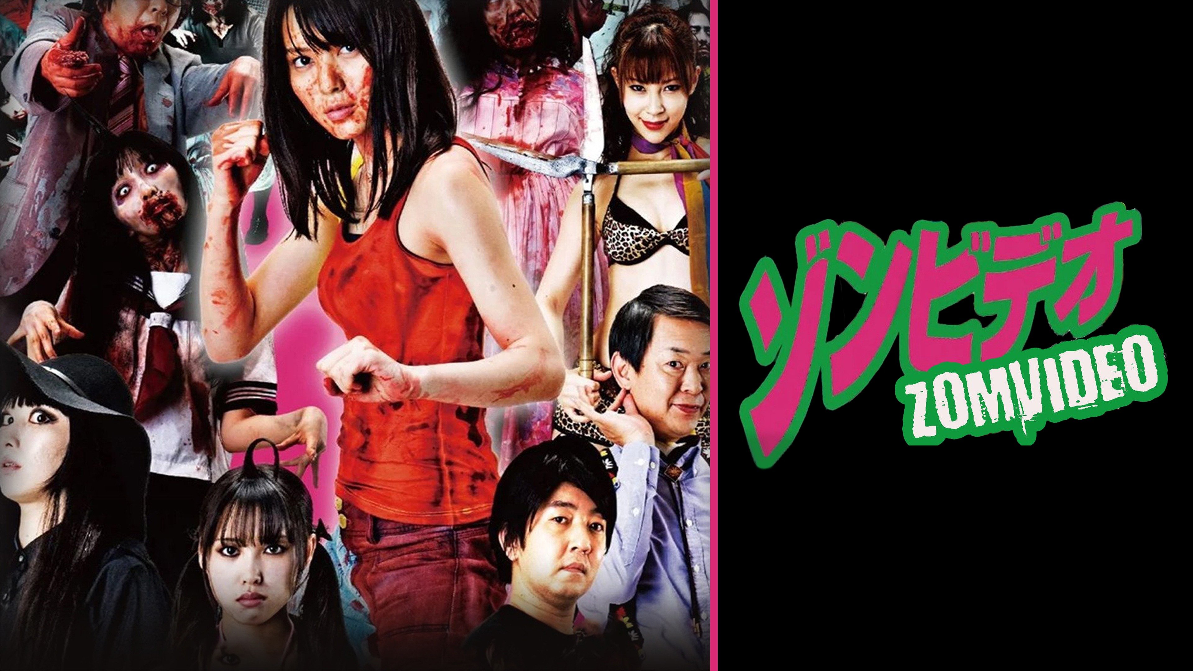 Zomvideo (2012) - Plex