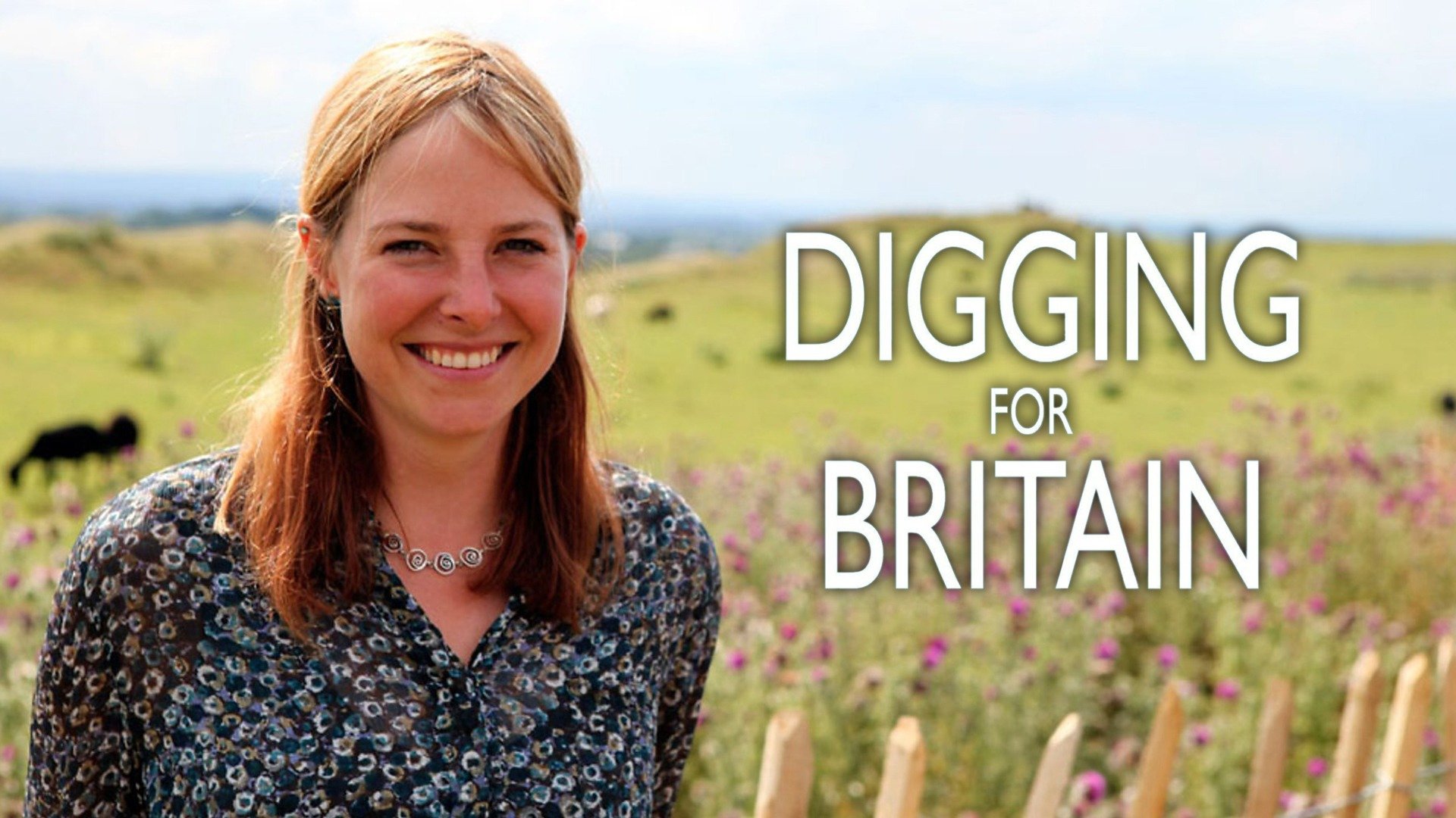 Watch Digging for Britain · Season 2 Full Episodes Online - Plex