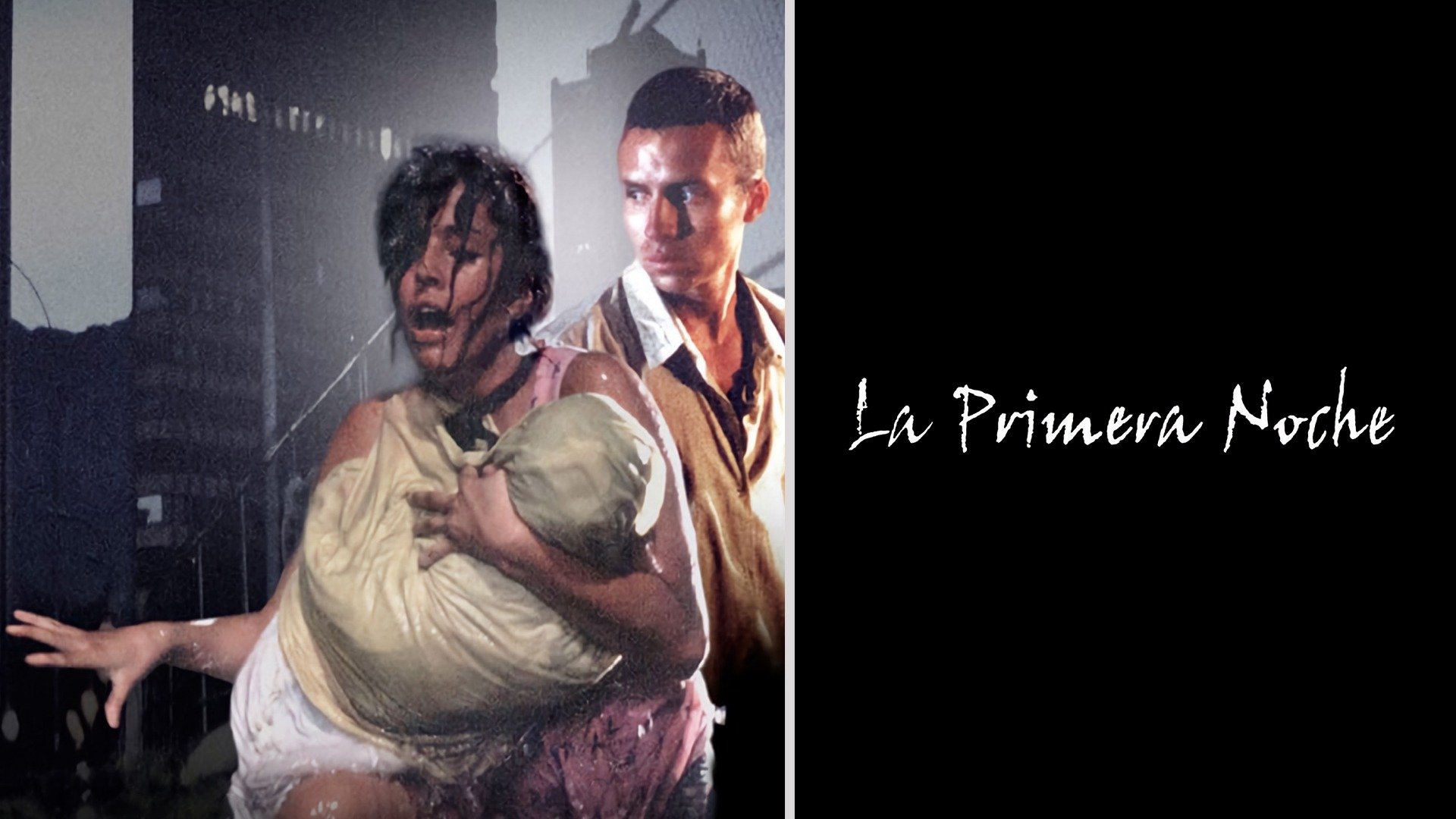 The First Night (2003) - Plex