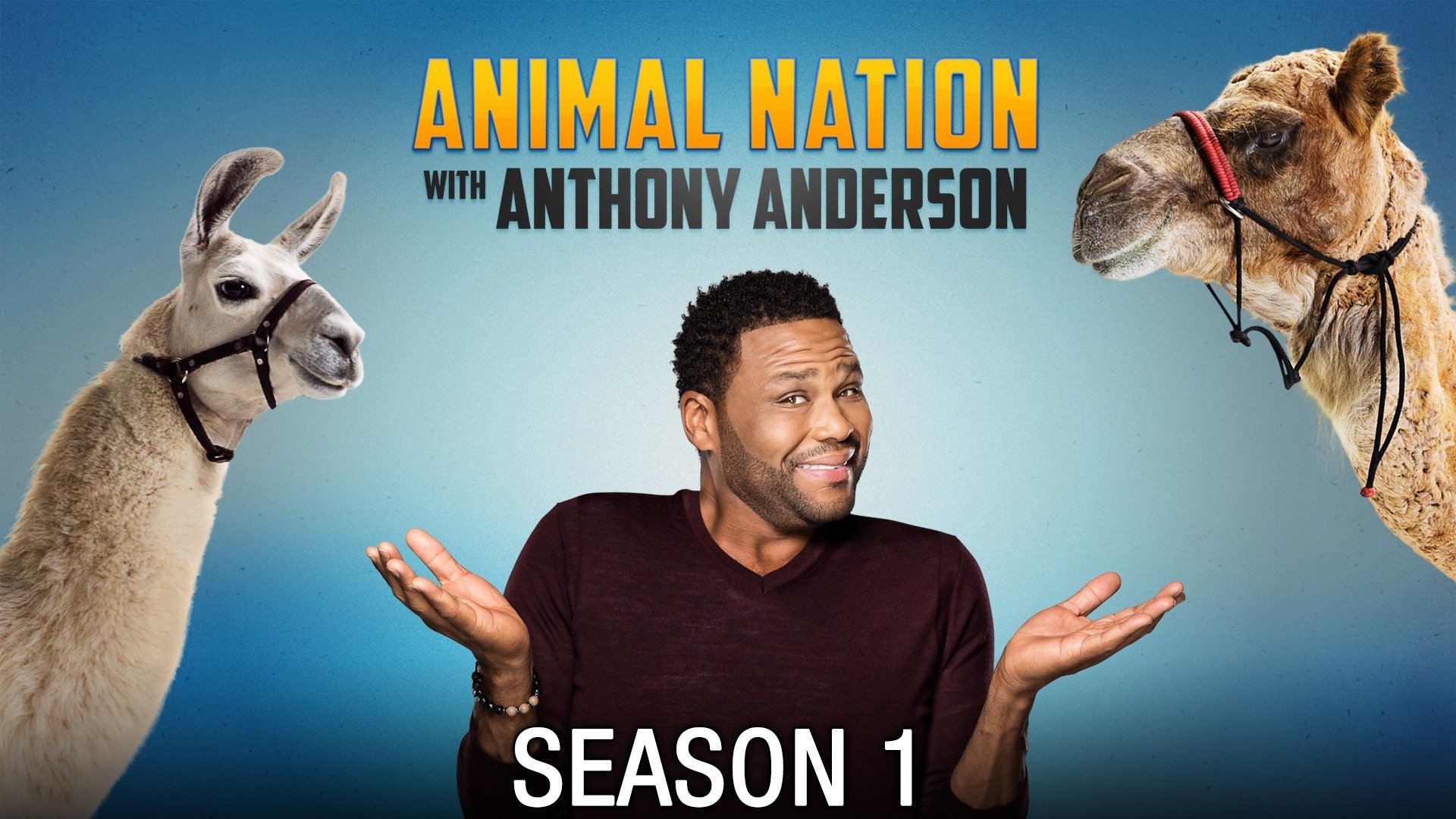 Watch Animal Nation With Anthony Anderson · Season 1 Full Episodes ...
