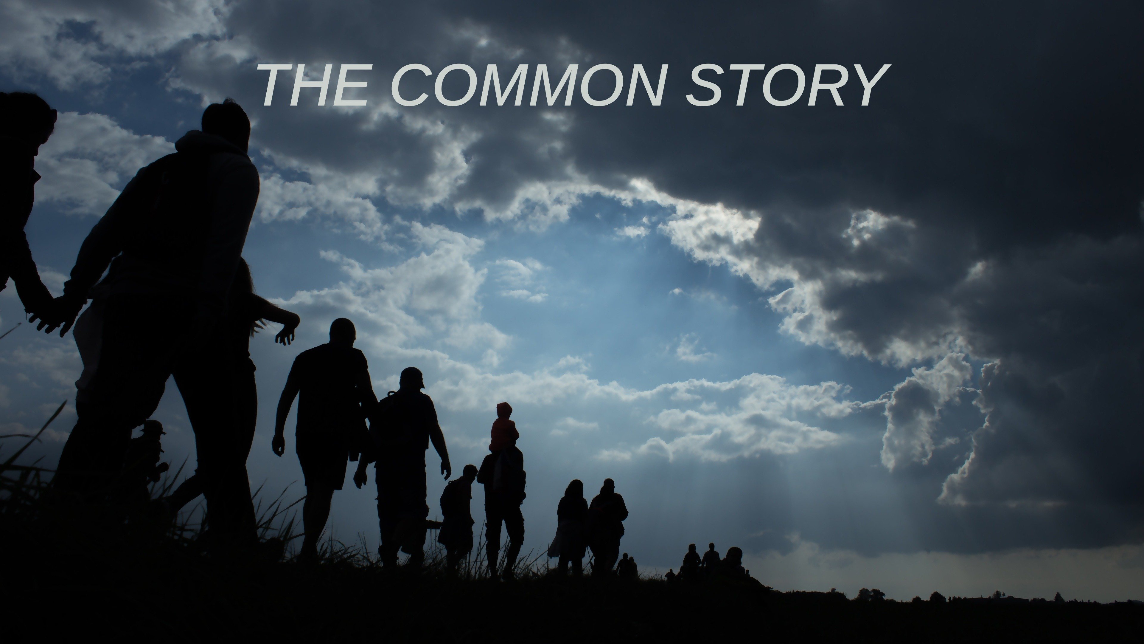 The Common Story (2019) - Plex