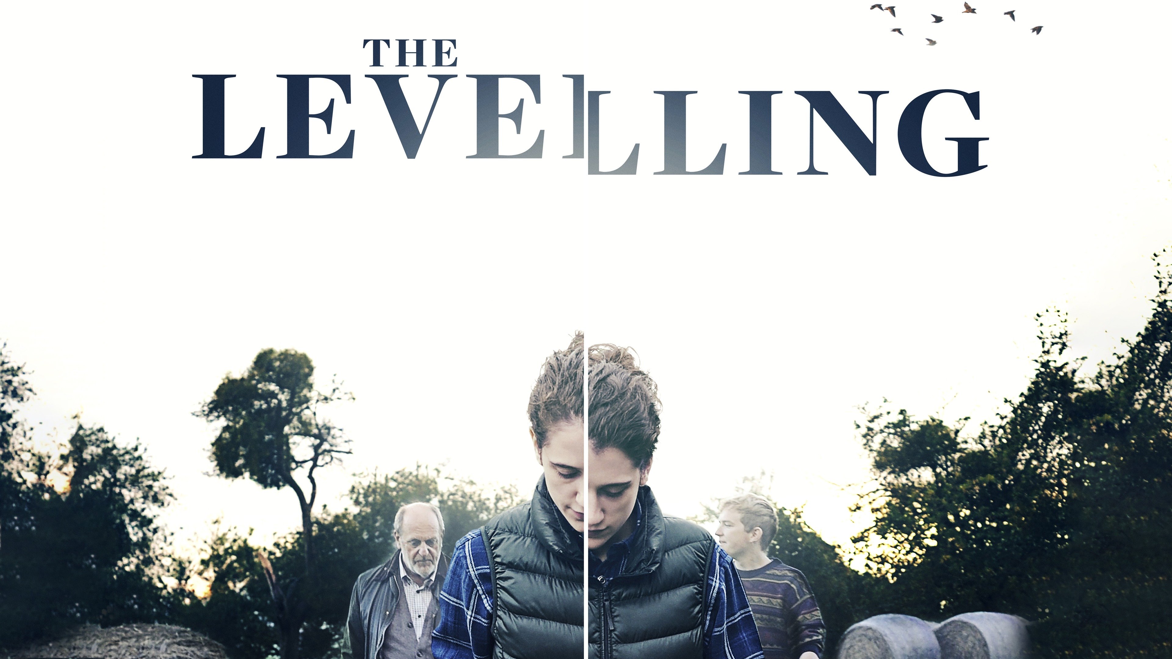 Watch The Levelling (2017) Full Movie Free Online - Plex