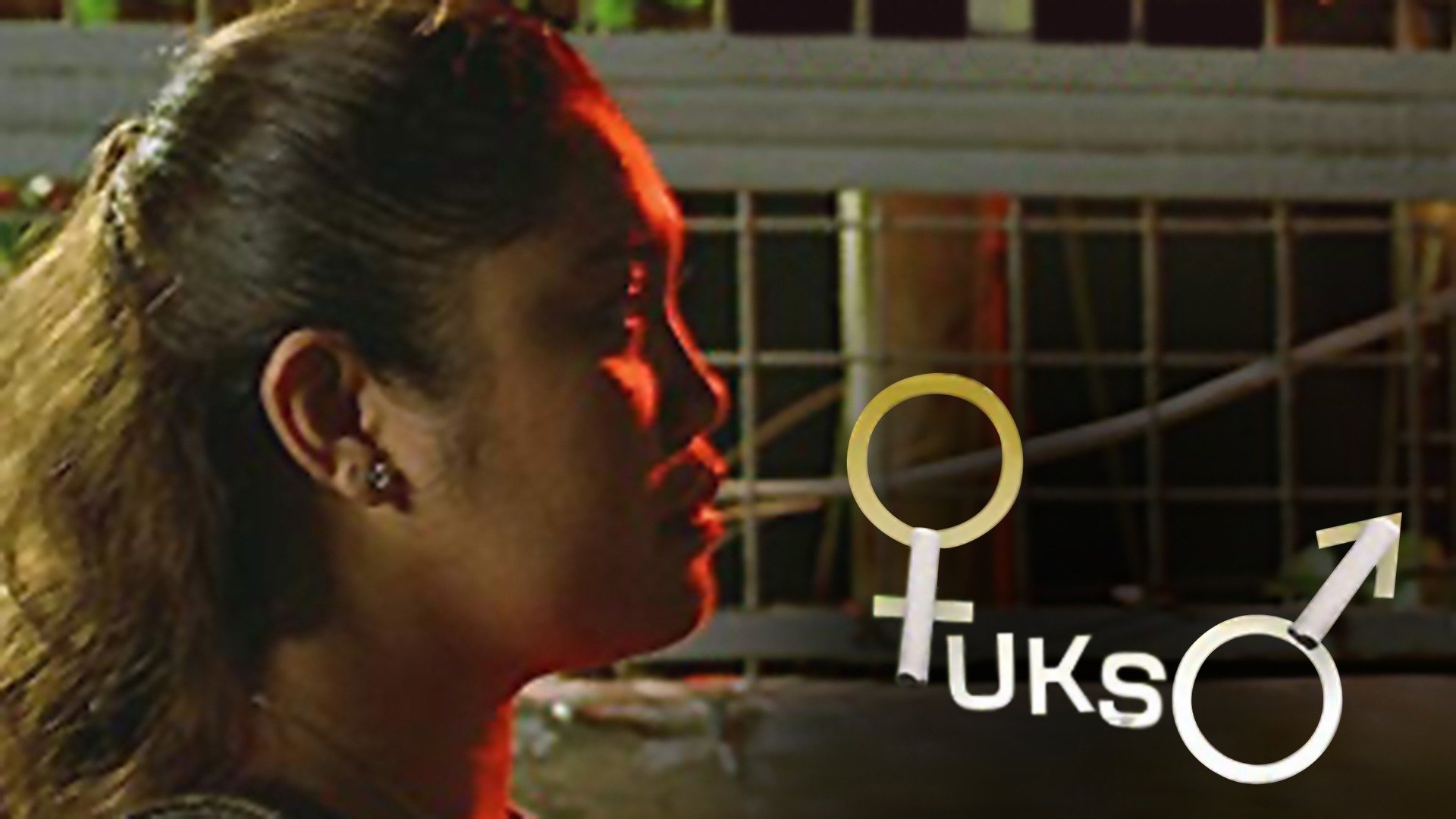 Tuksó (2010) - Plex