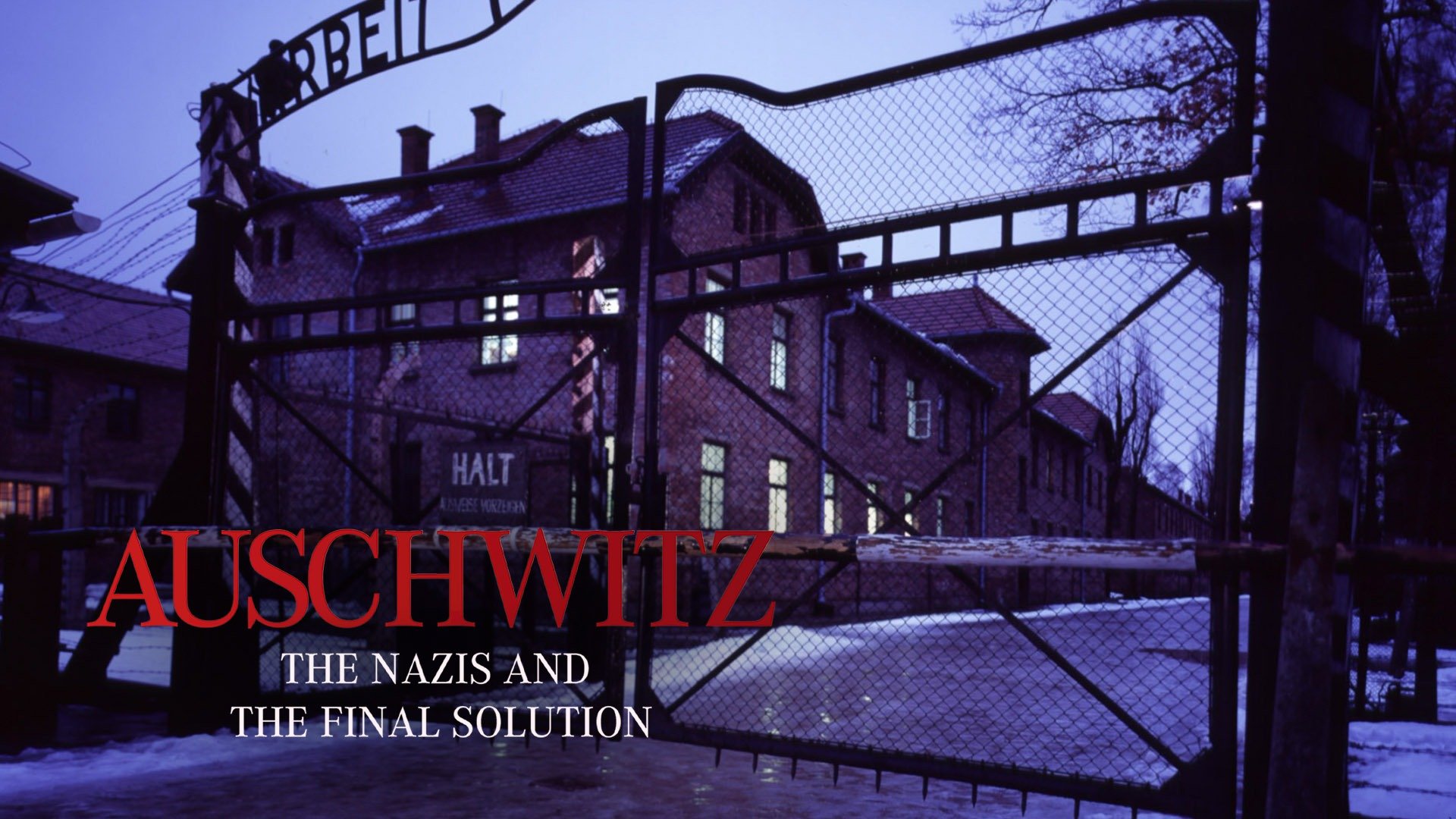 Watch Auschwitz: The Nazis & The Final Solution (2005) TV Series Online ...