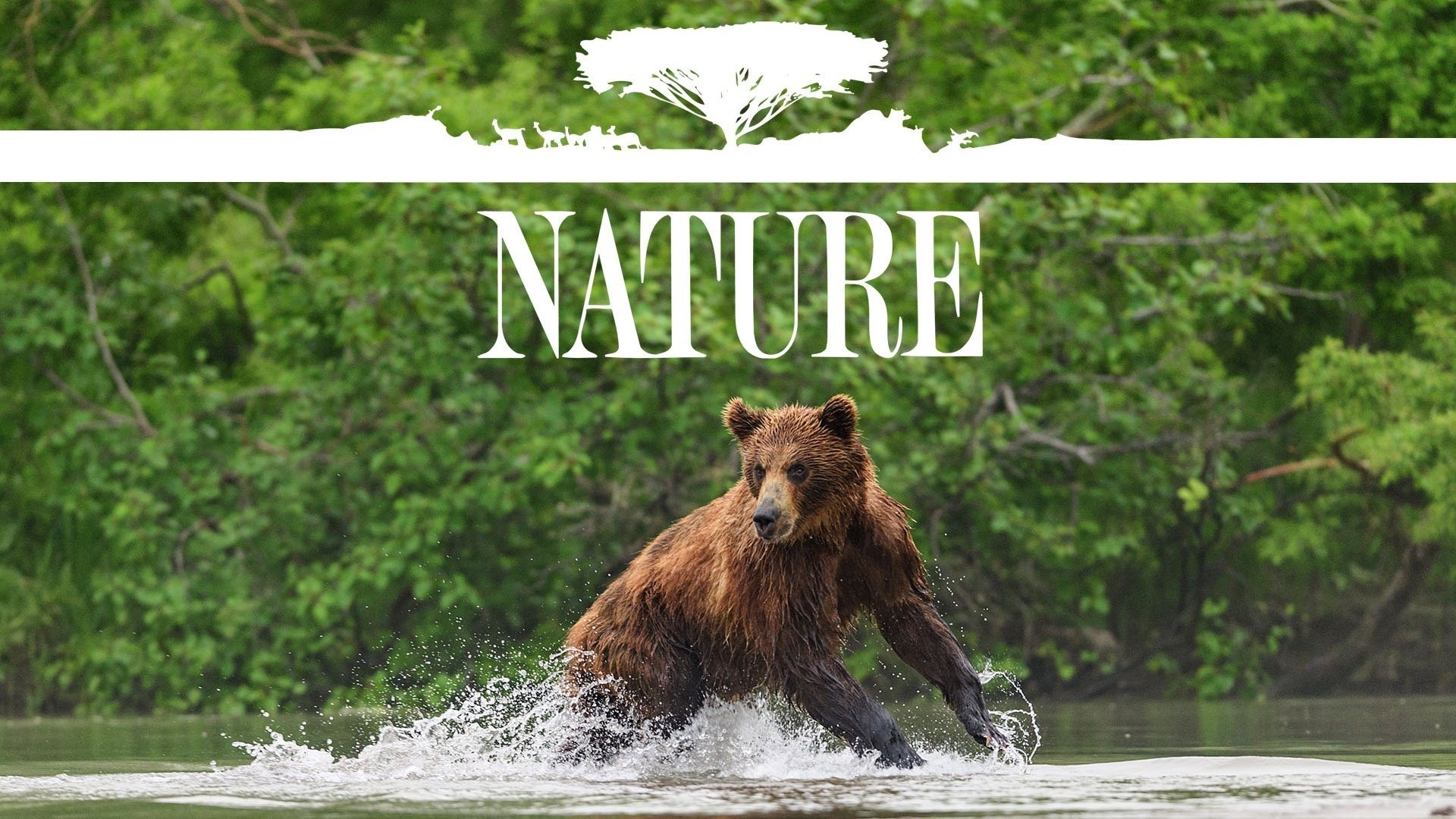 Watch Nature · Season 3 Full Episodes Online - Plex